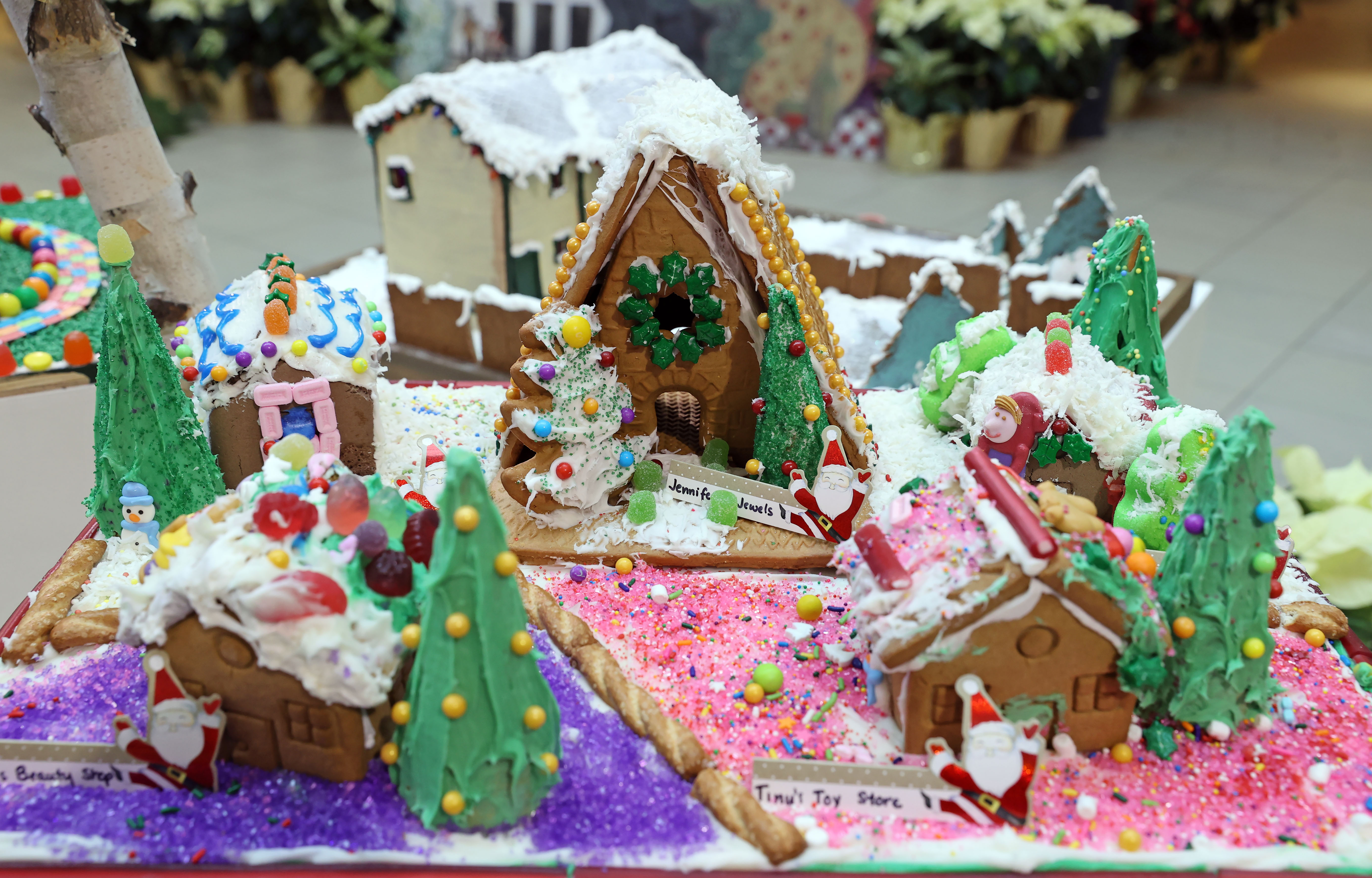 Gingerbread displays at Cleveland Botanical Garden, November 17, 2022 ...