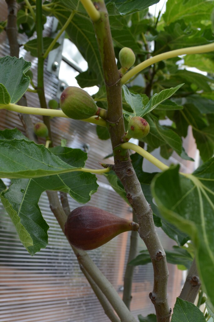 One Green World - oregonlive.com