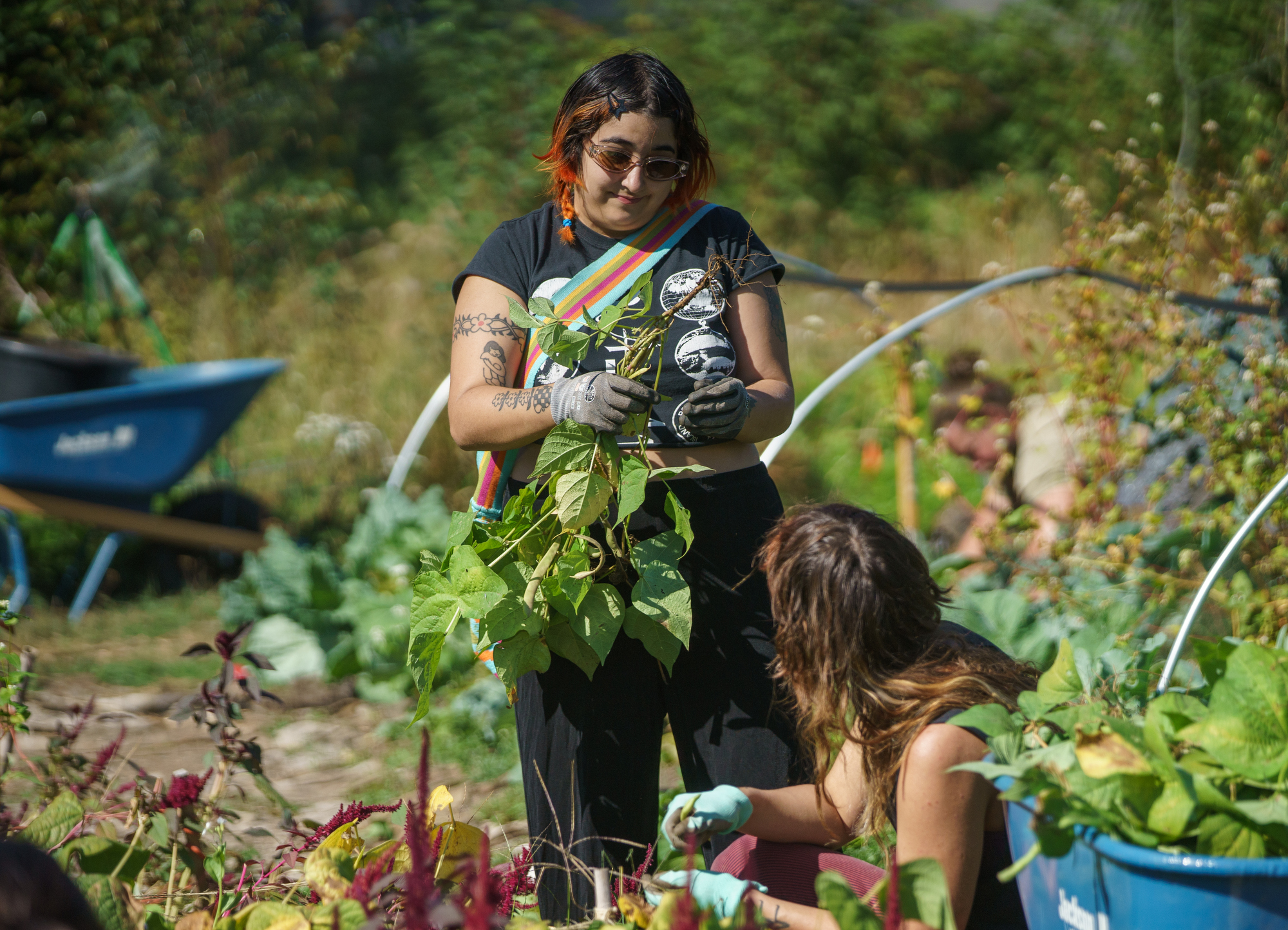 Native American Youth and Family Center's community garden - oregonlive.com