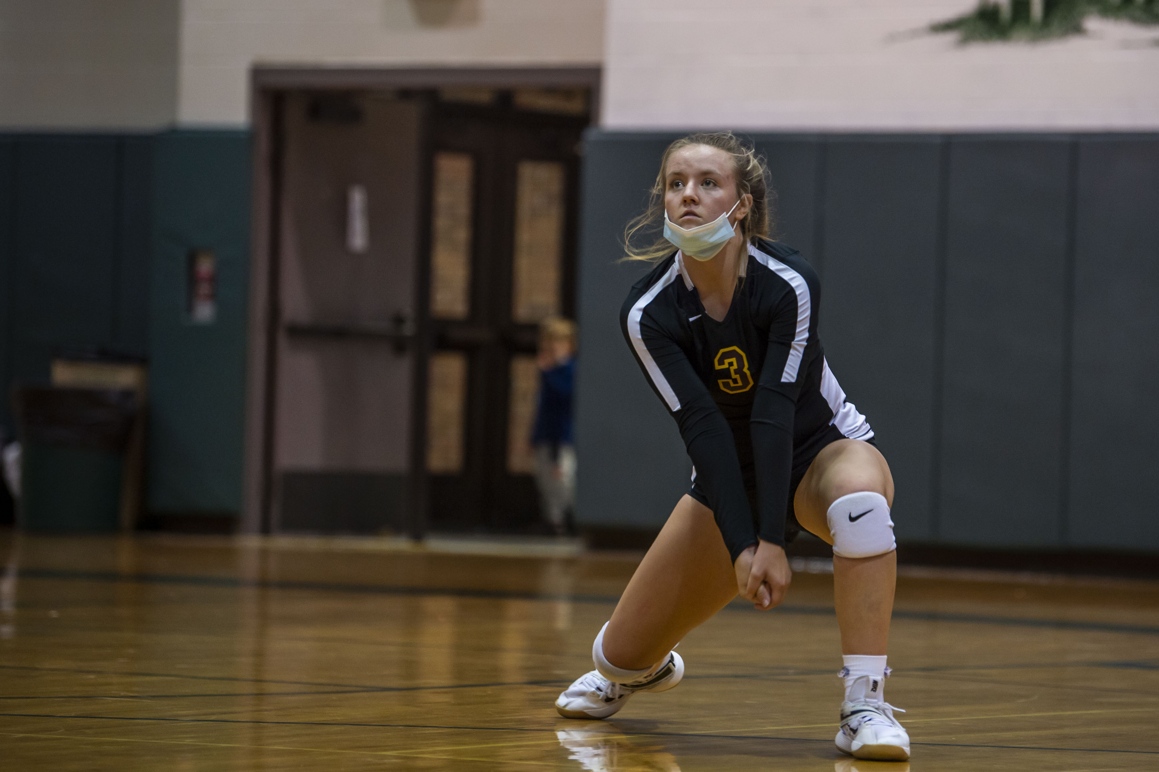 Reese volleyball defeats Shrine in Division 3 volleyball quarterfinal ...
