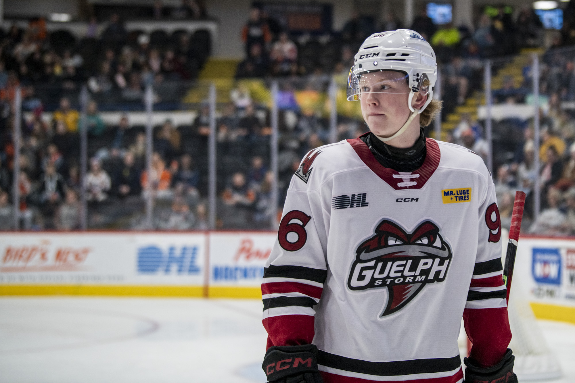 Flint Firebirds vs. Guelph Storm - mlive.com