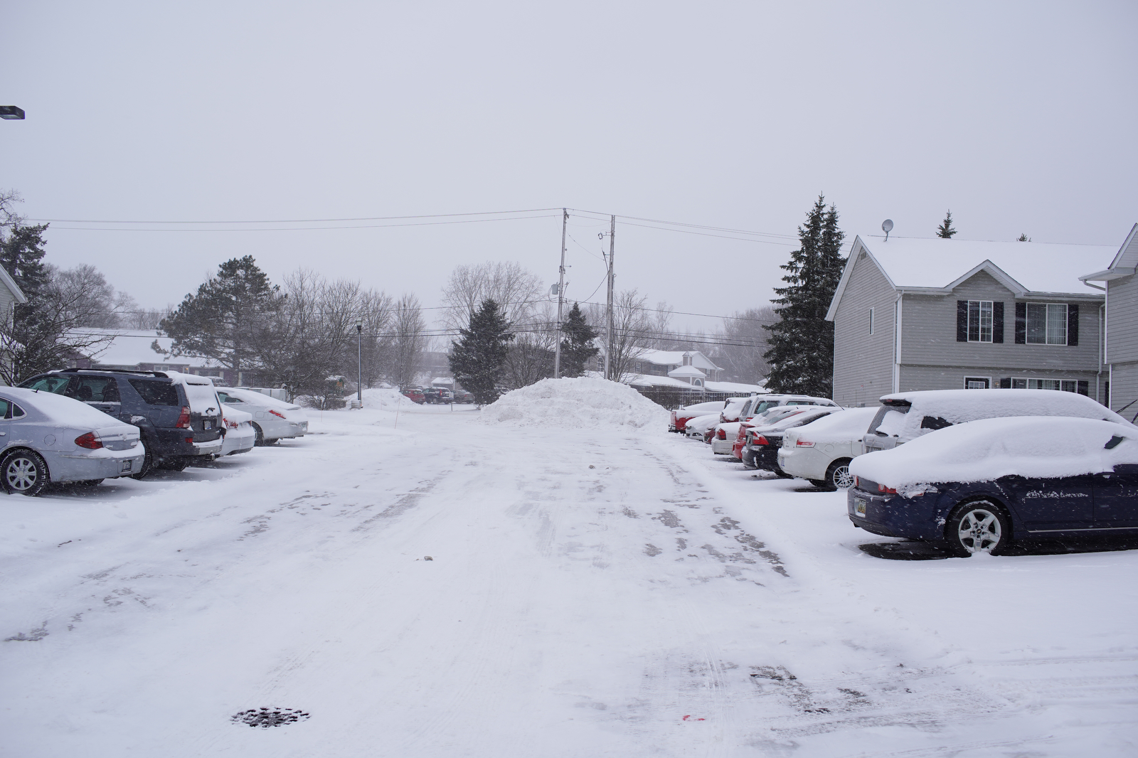 Snow, cold blasts Michigan in early February storm - mlive.com
