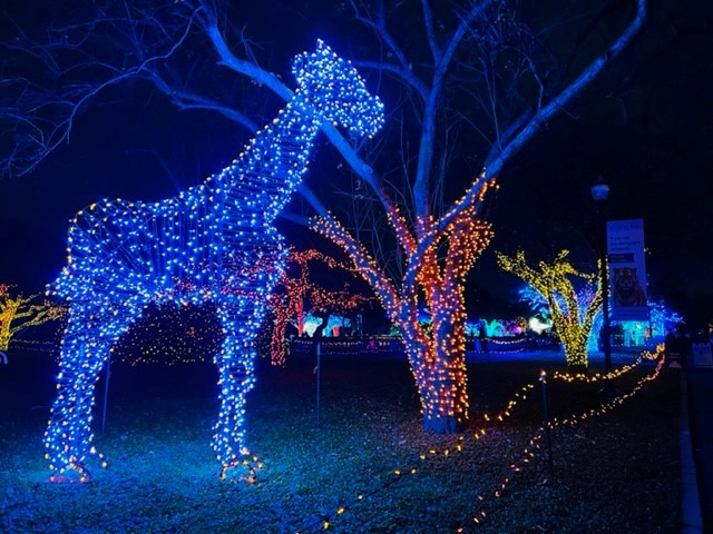 Wild Lights at the Detroit Zoo 2021 - mlive.com