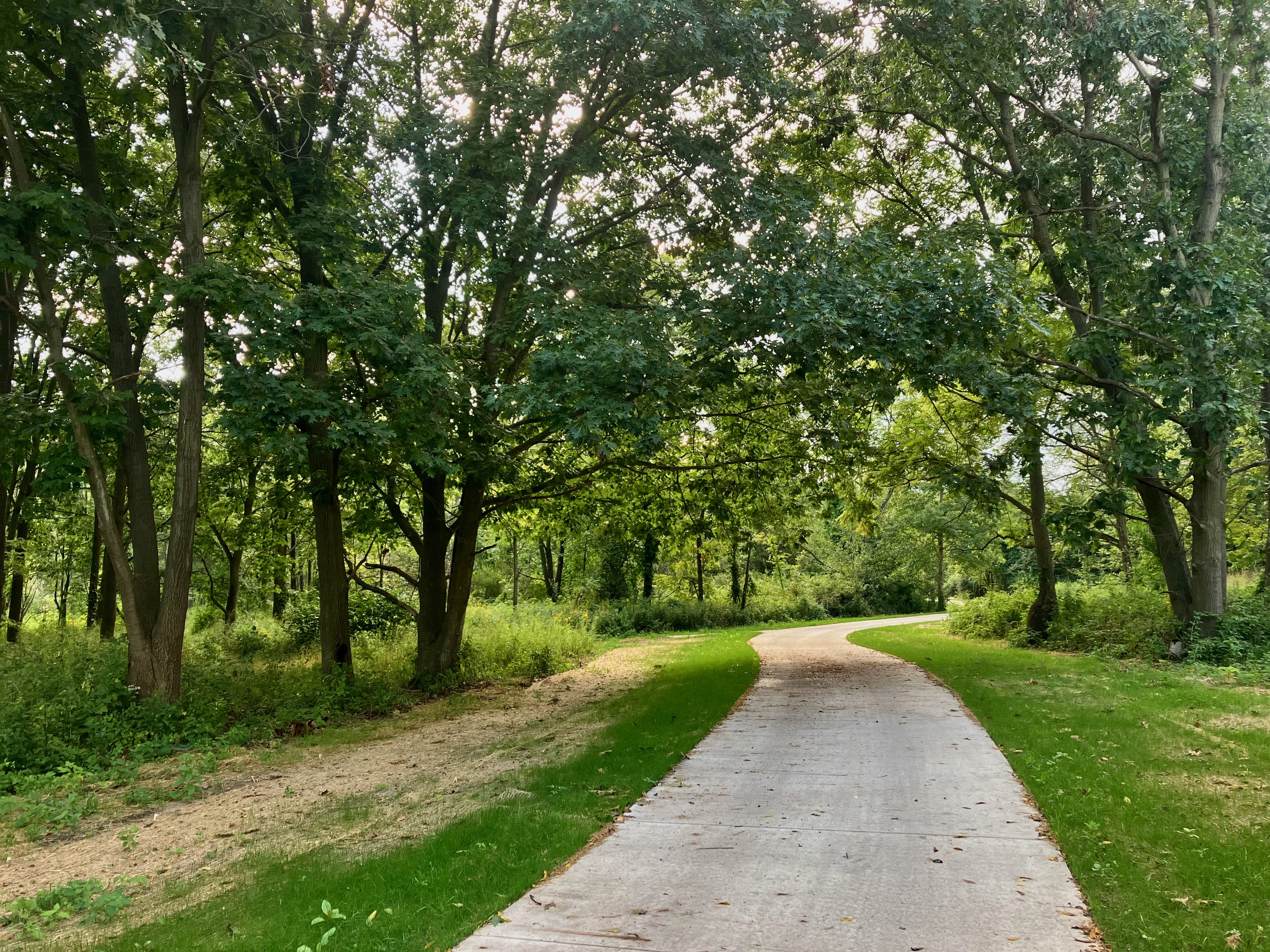 New Border-to-Border Trail segment through Barton Nature Area now open ...