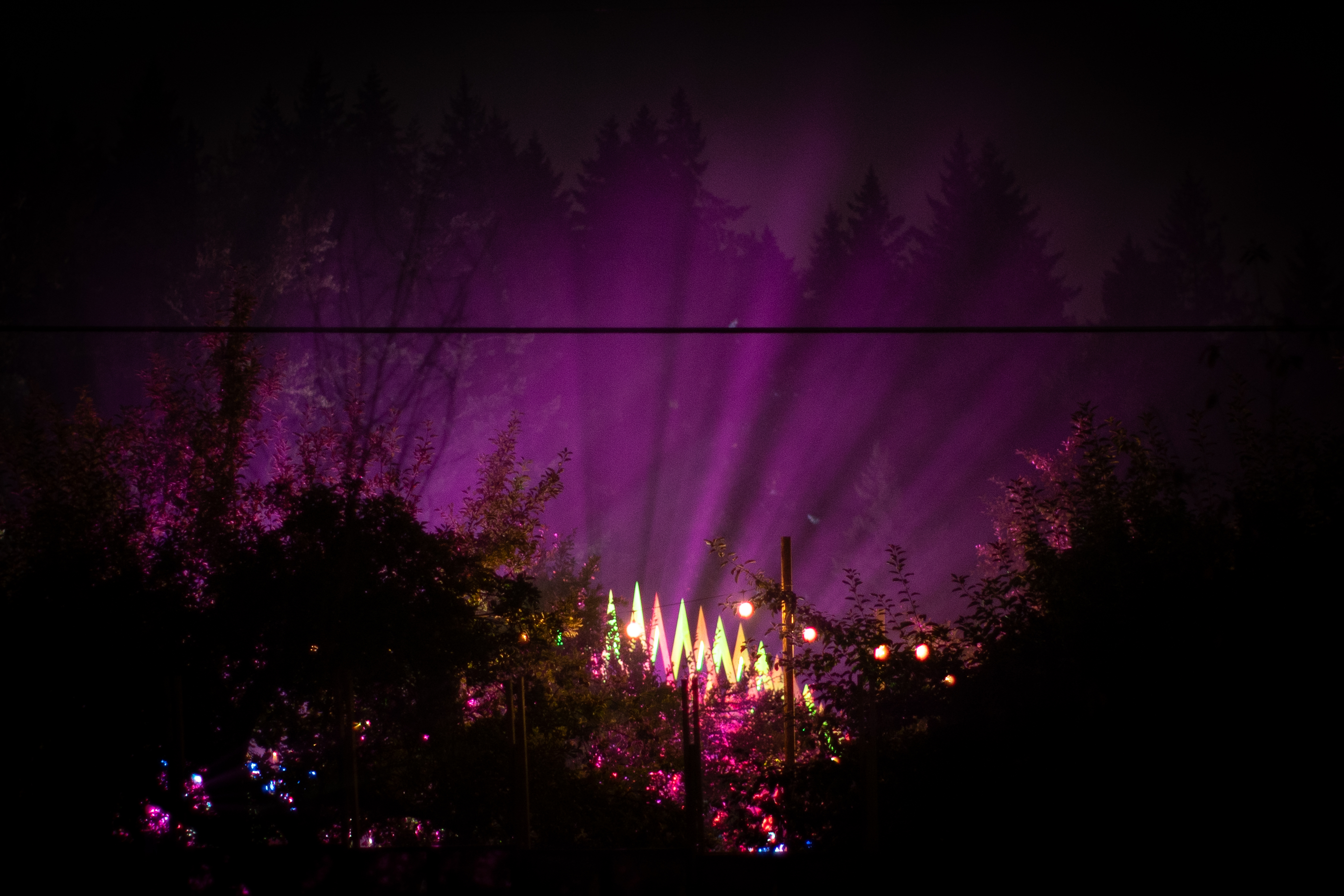 Pickathon 2025 - oregonlive.com
