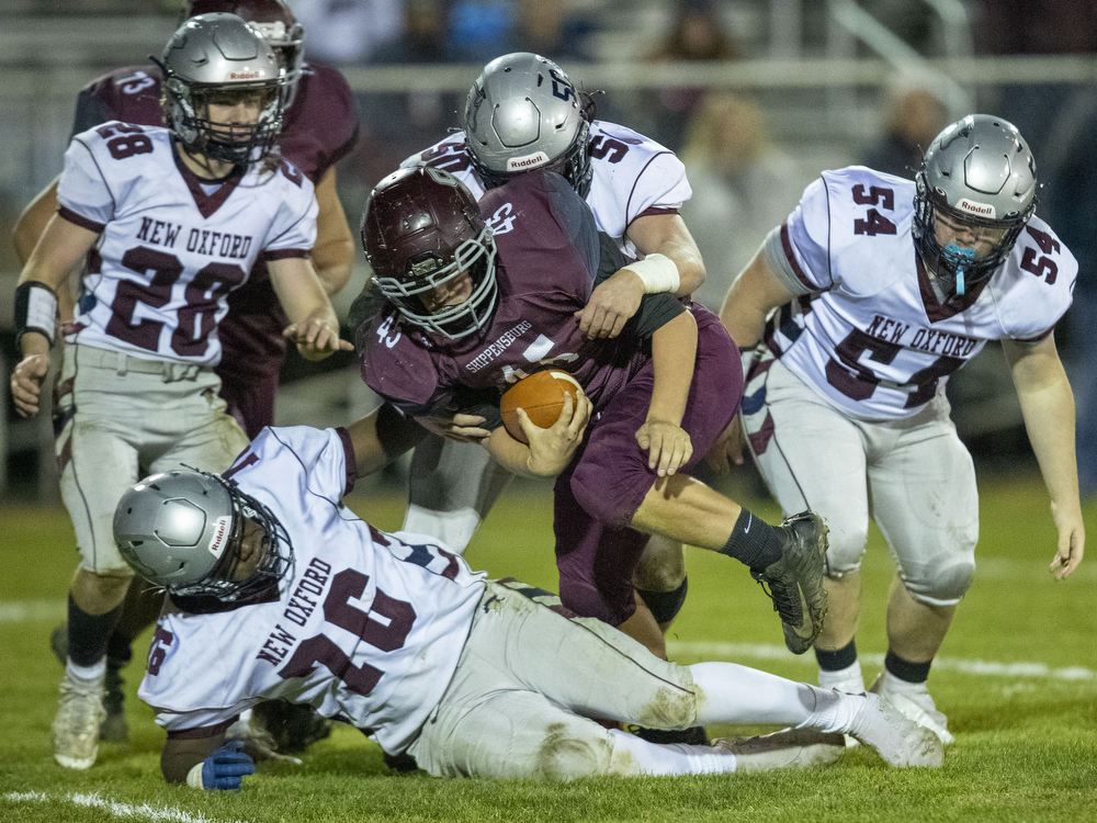 Shippensburg moves to 11-0 with opening round playoff win over New ...