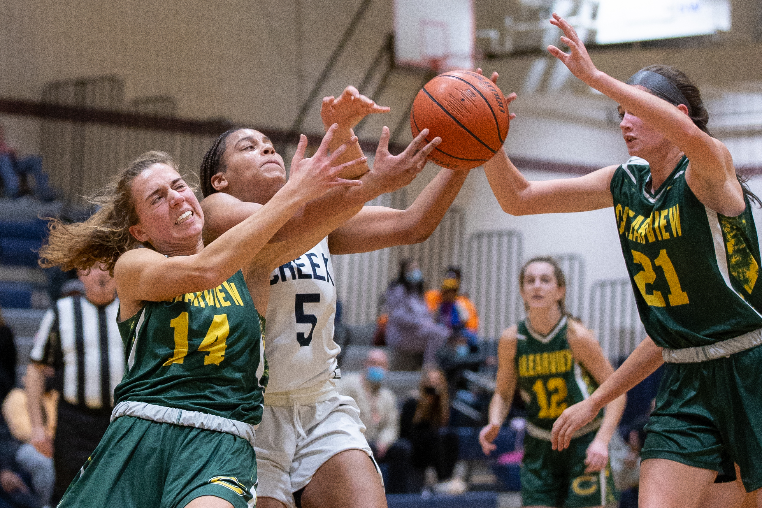 Timber Creek Defeats Clearview Girls Basketball (56-42) in Erial on ...