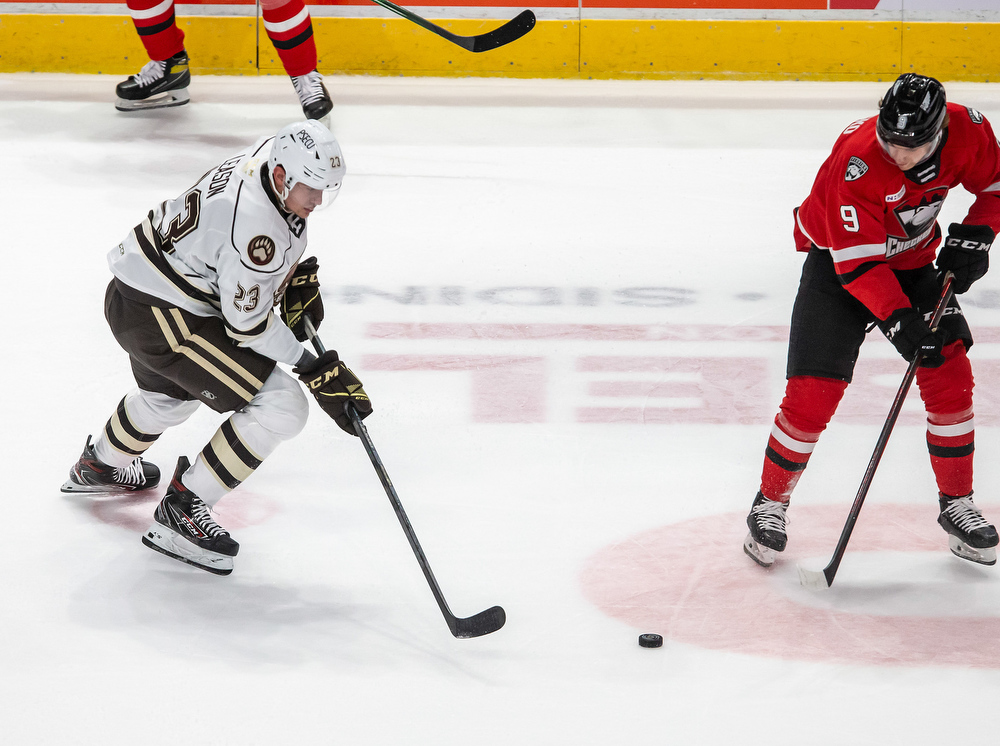 Hershey Bears vs Charlotte Checkers at the Giant Center - pennlive.com