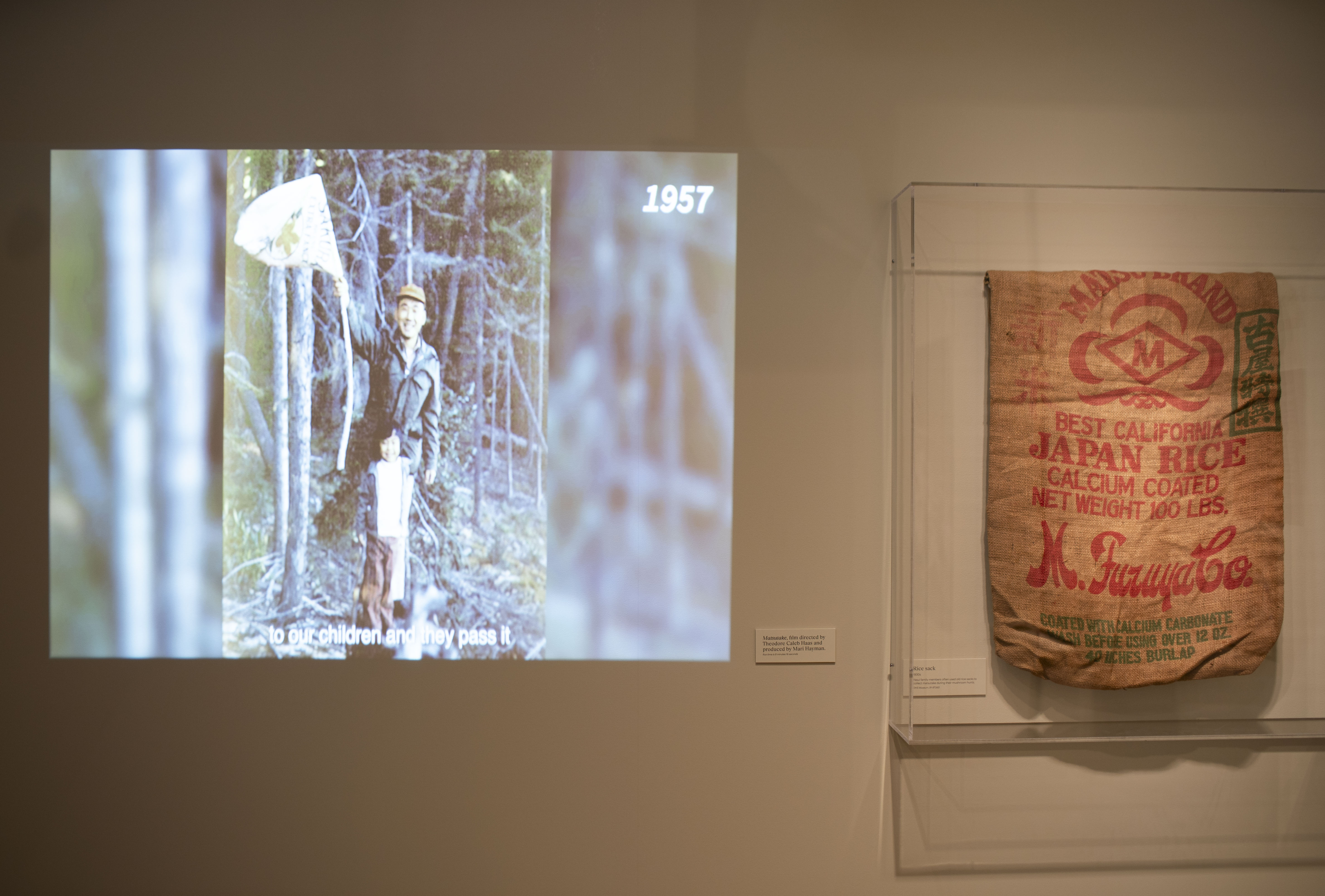 The Yasui Family: An American Story, at the Oregon Historical Society ...
