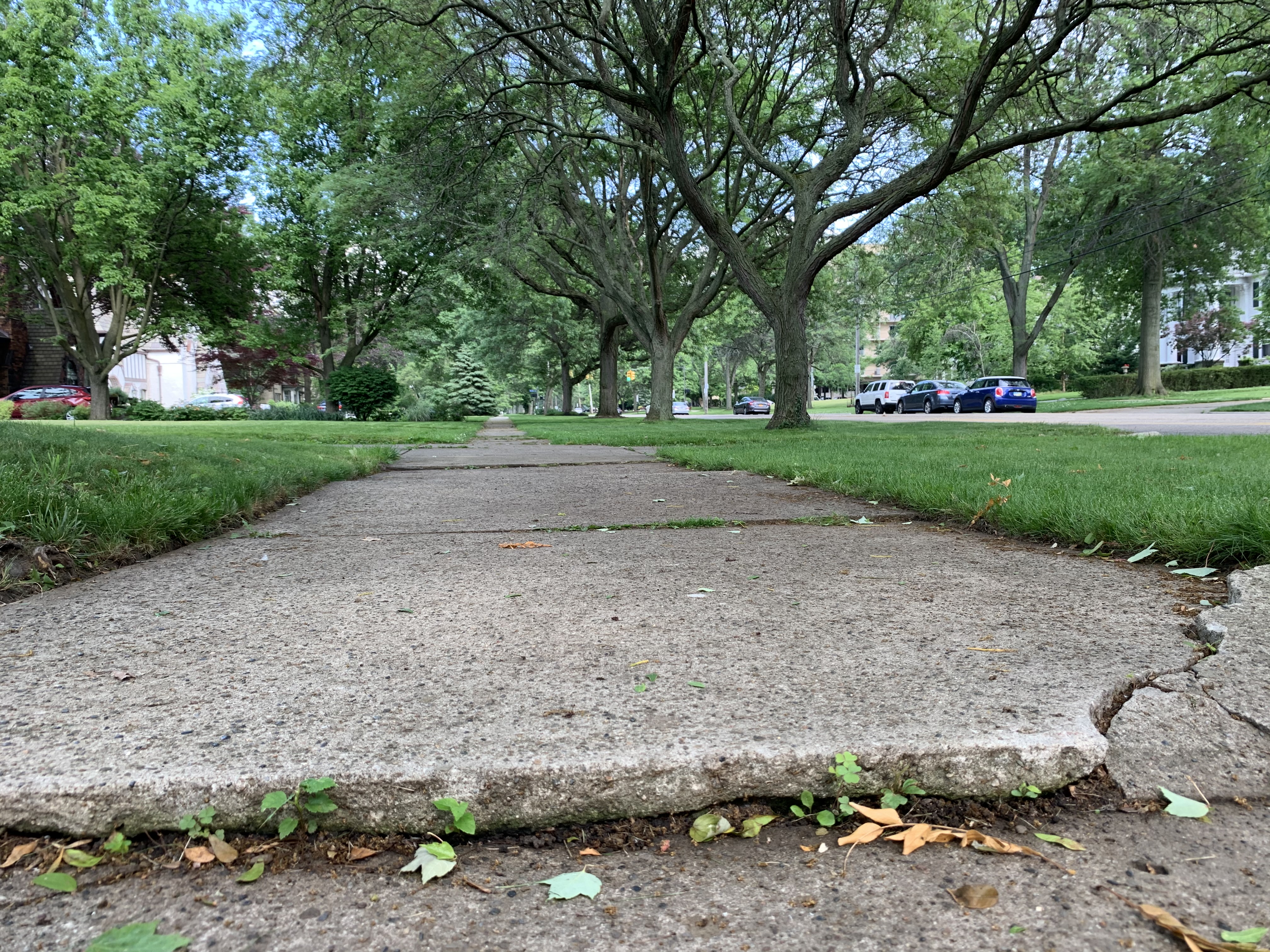 Cleveland Metroparks’ widening of Lake Avenue sidewalk to improve Lake ...