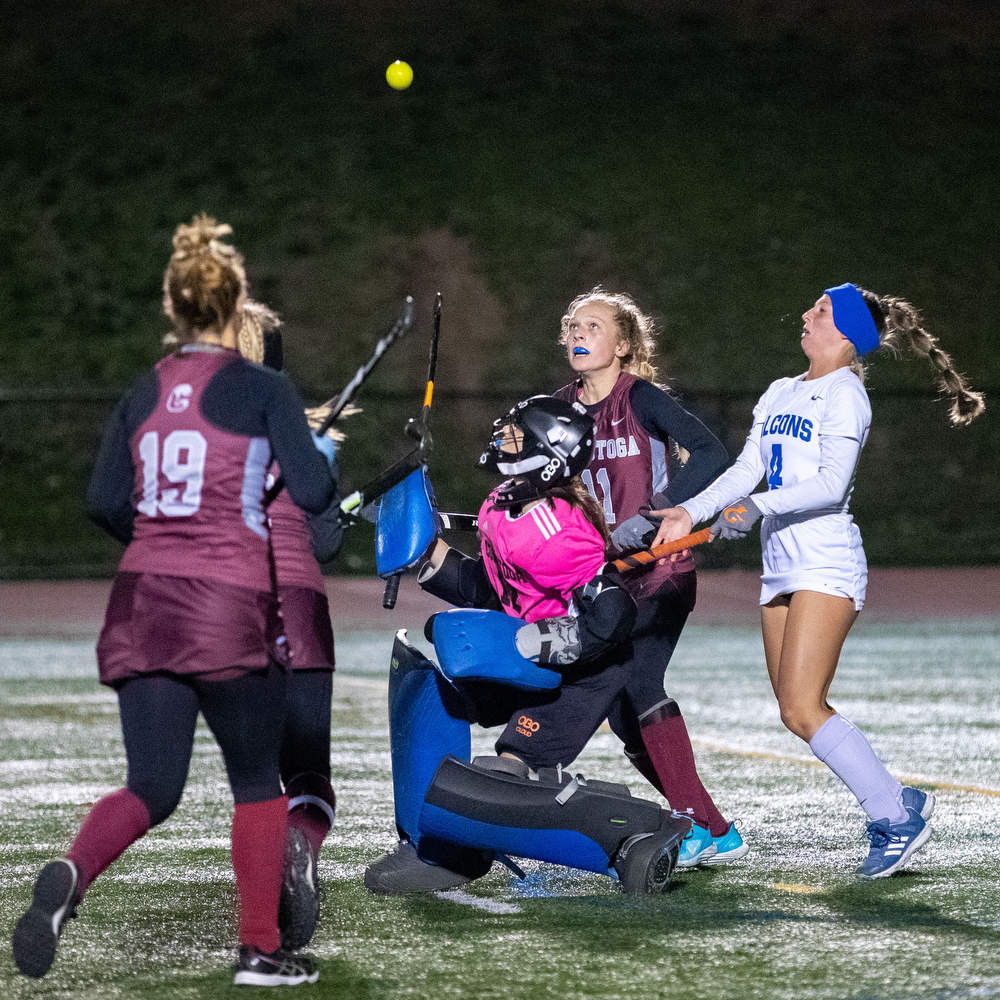Lower Dauphin heads back to Field Hockey State Championship final ...