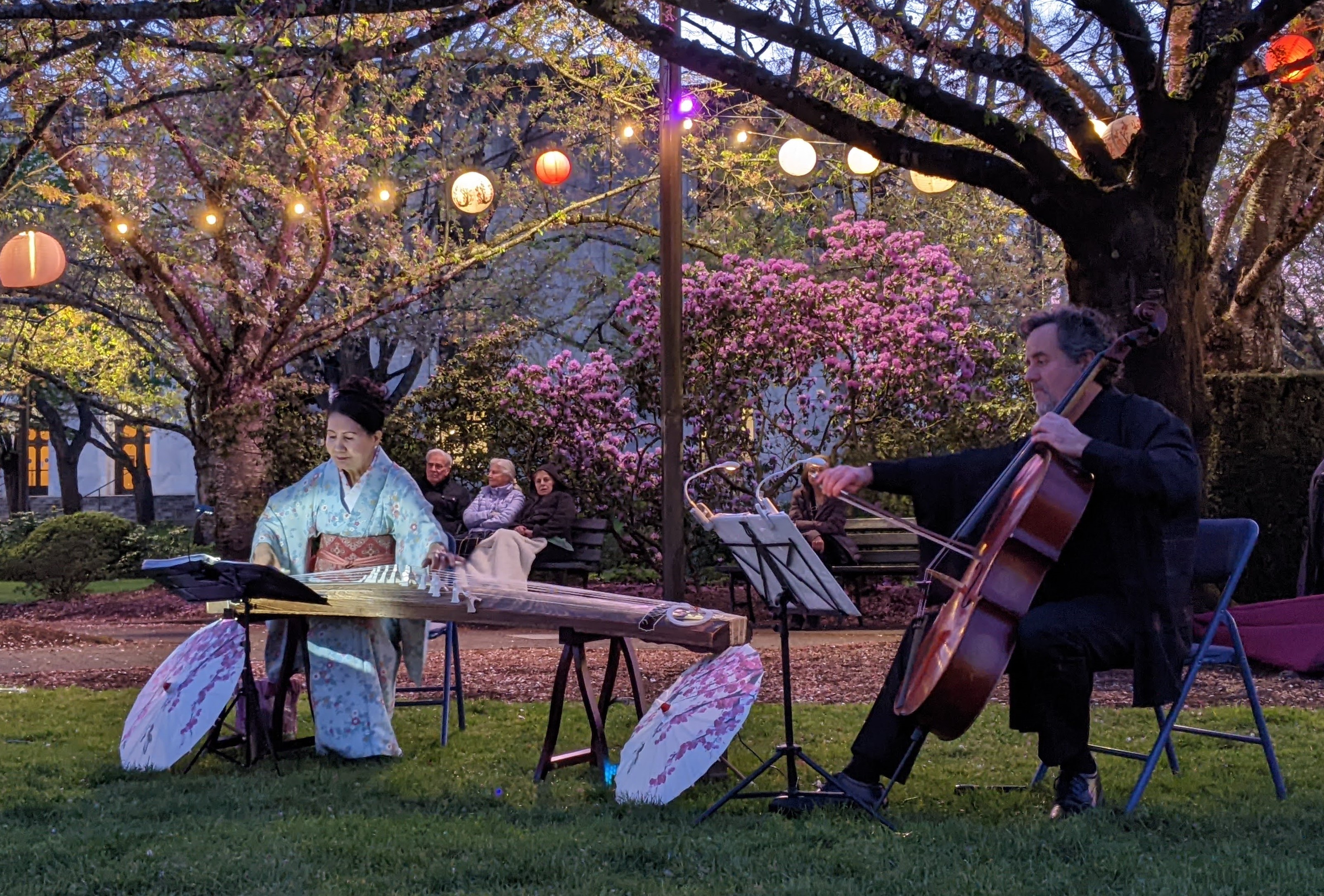 Cherry Blossom Day at Oregon's Capitol - oregonlive.com