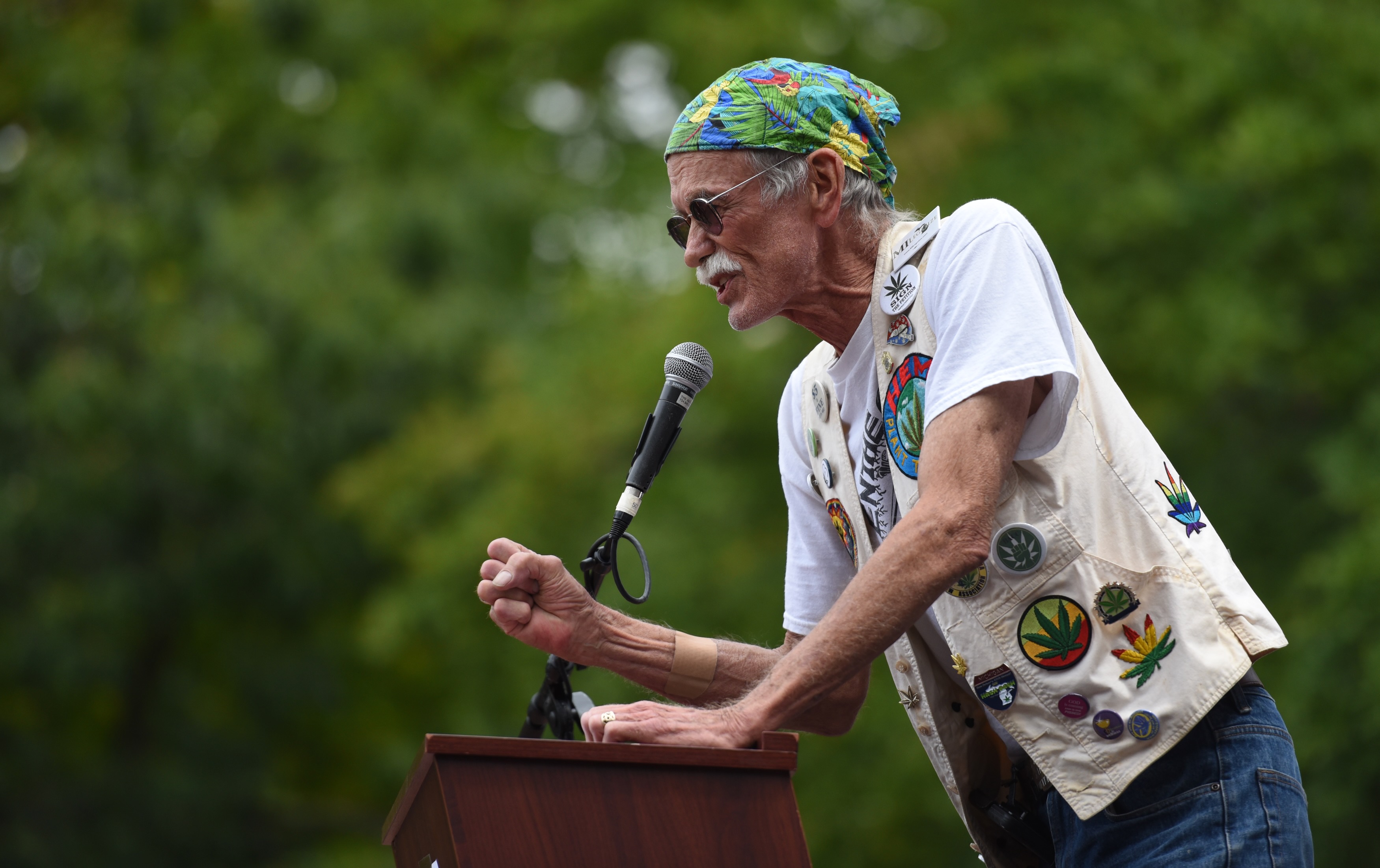 Scenes from Ann Arbor's 2023 psychedelic plant and shroom fest, a.k.a ...
