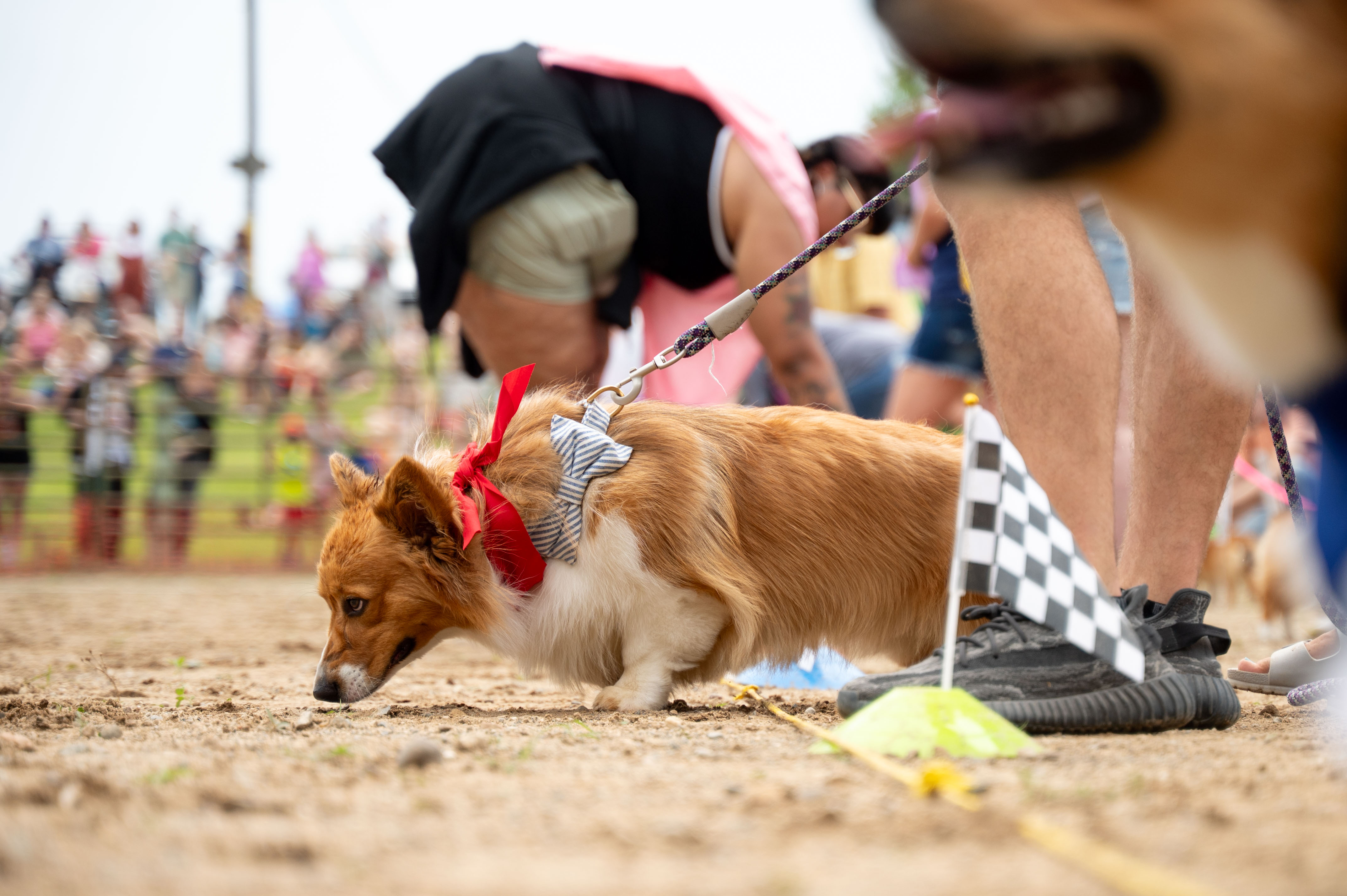 2025 Michigan Celtic Festival - mlive.com