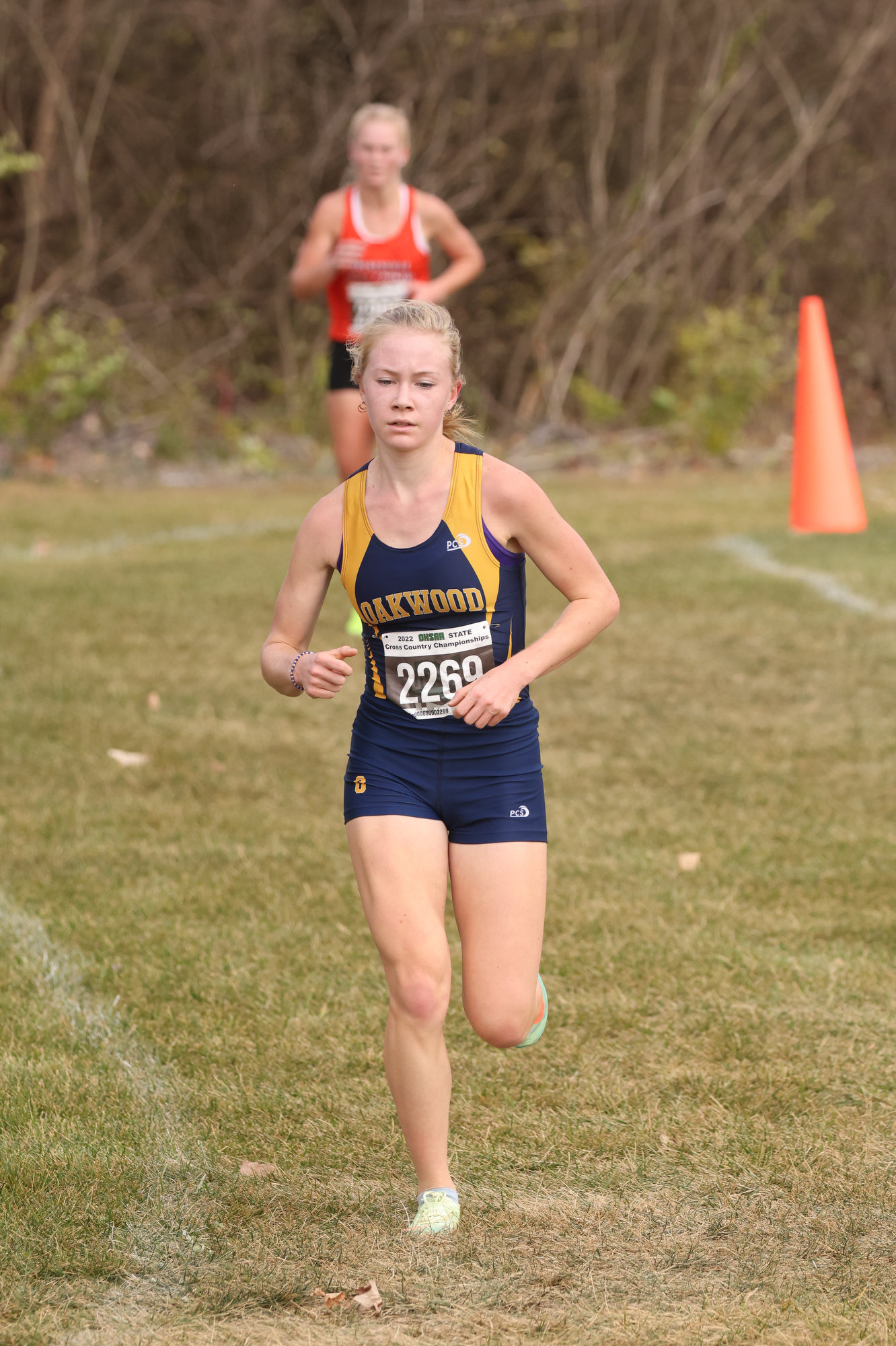 Division II Ohio High School Cross Country Championships 2022 ...