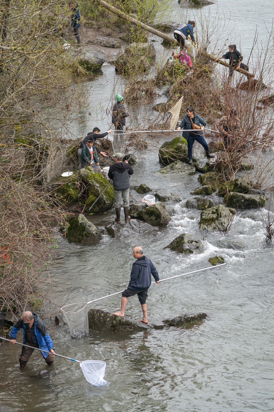 Sandy River smelt run 2025 - oregonlive.com