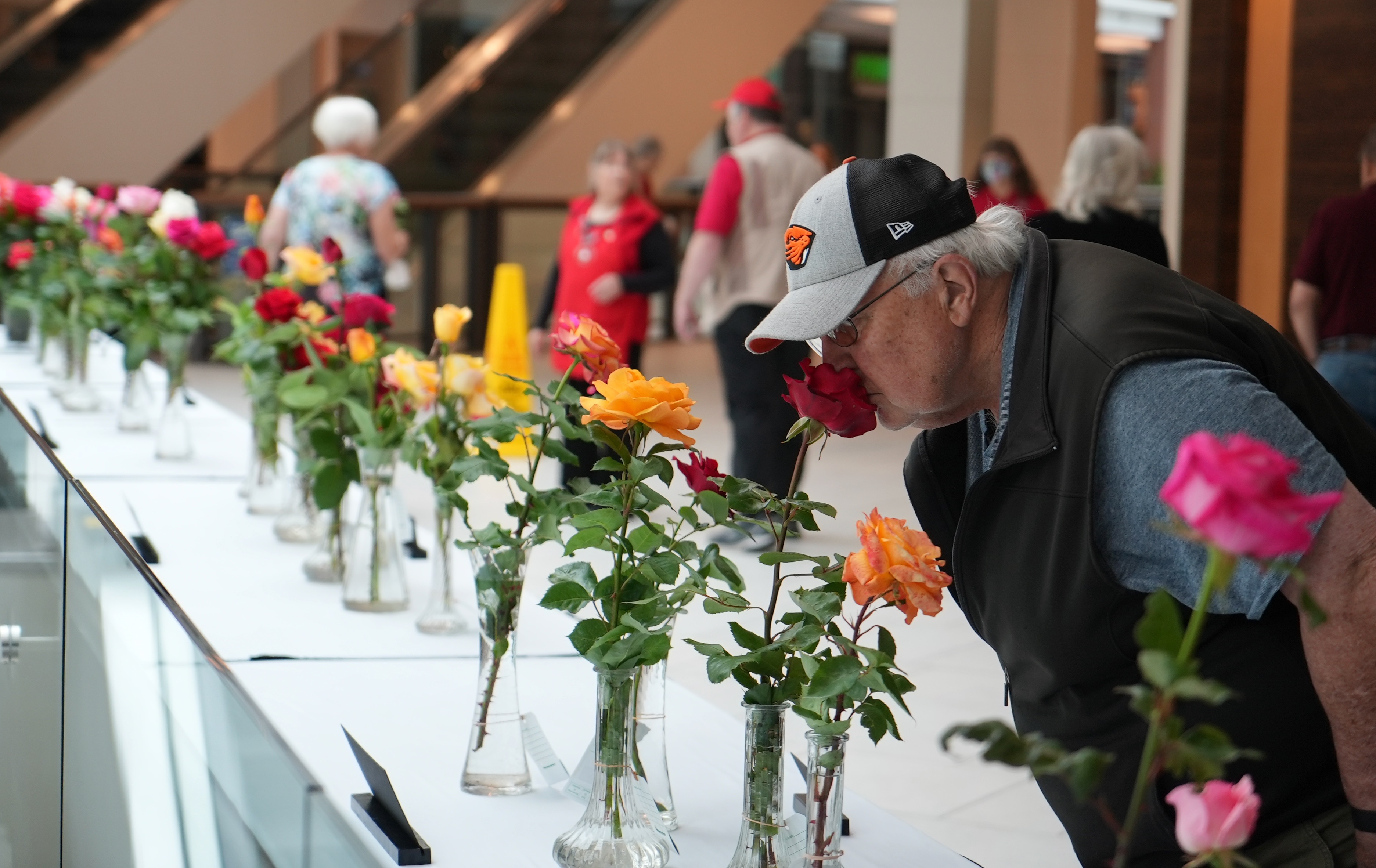 2022 Spring Rose Show - oregonlive.com