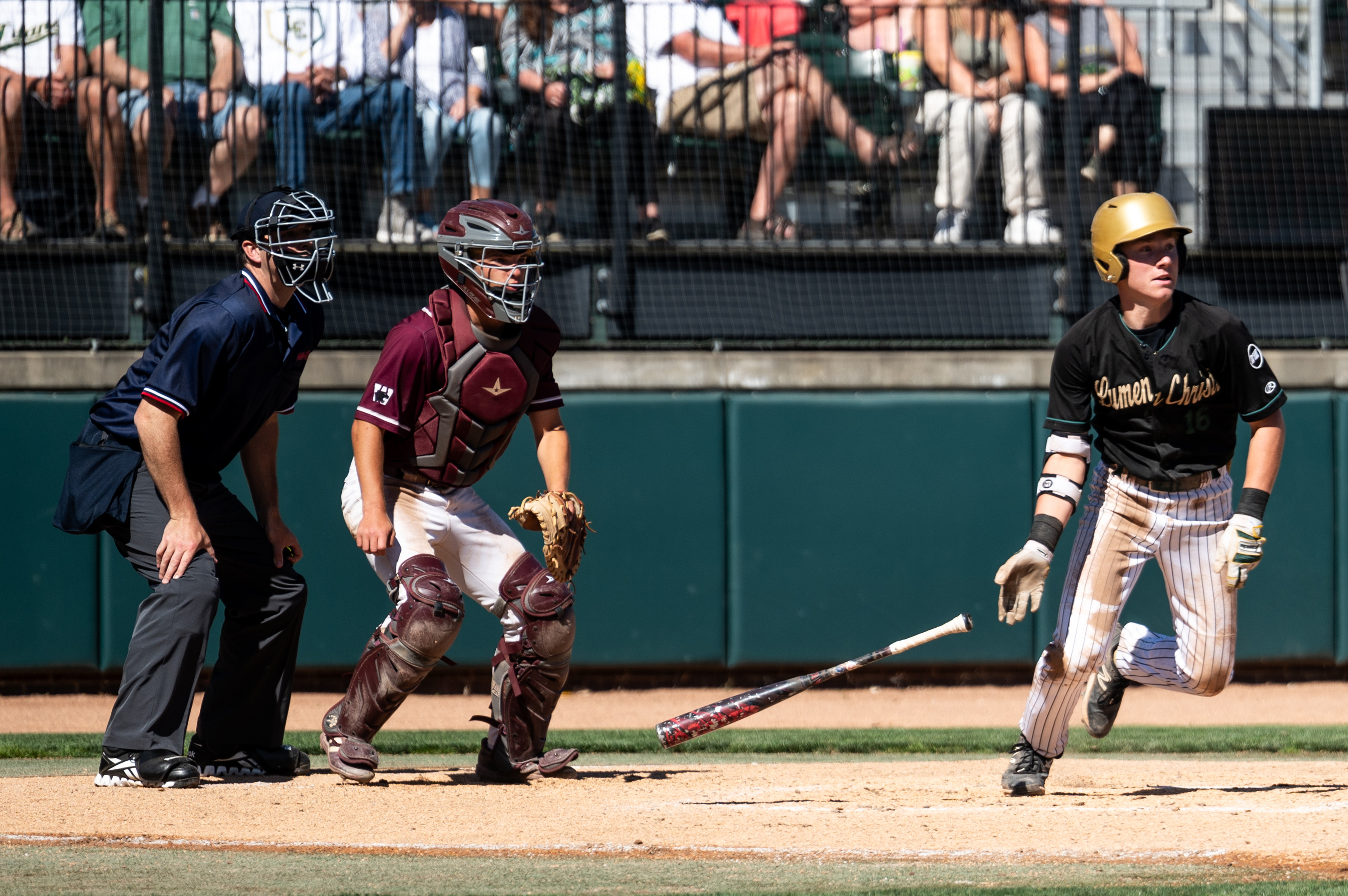 Watervliet wins MHSAA Division 3 baseball state championship - mlive.com