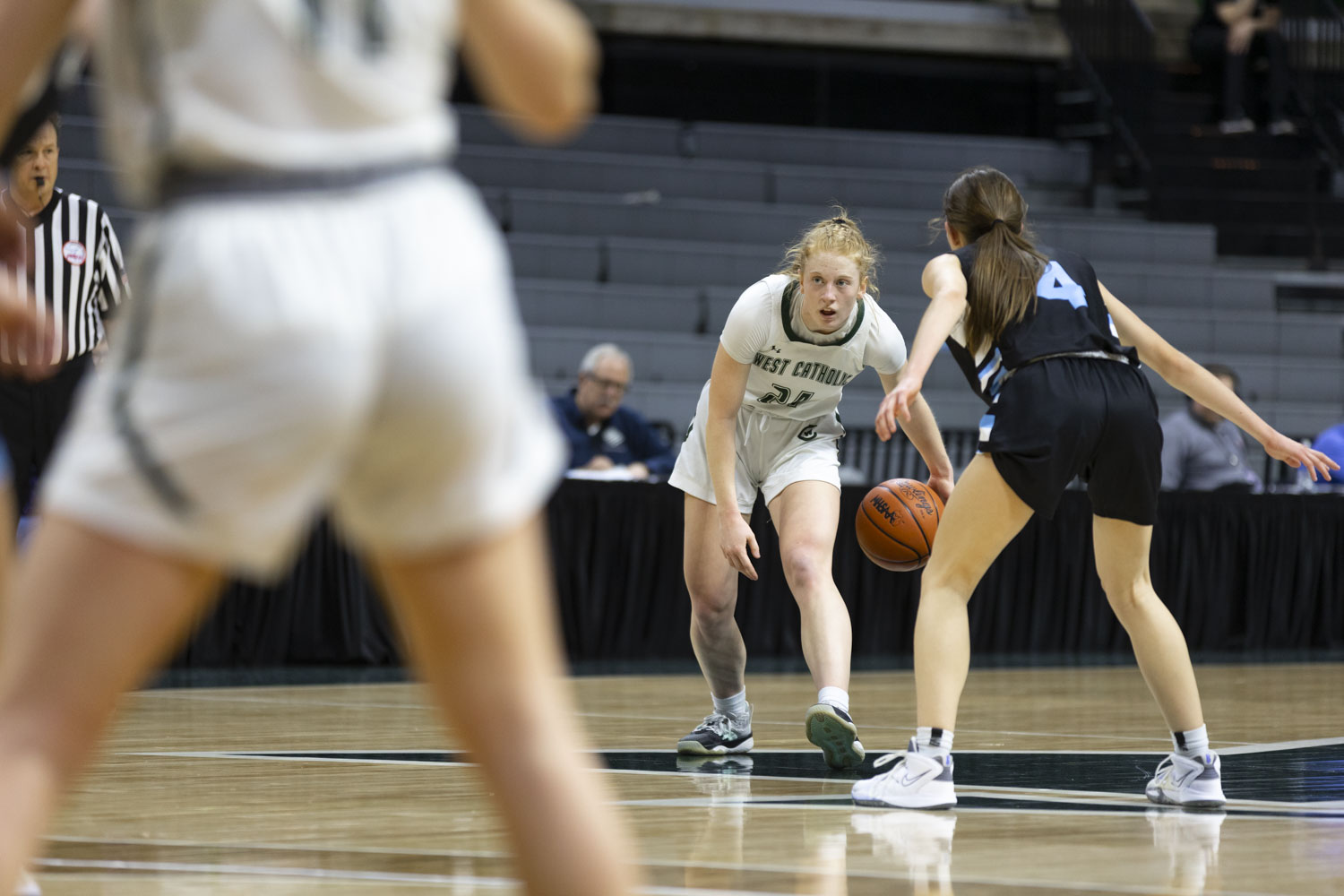 See photos as Lansing Catholic makes a comeback to win the Division 2 ...
