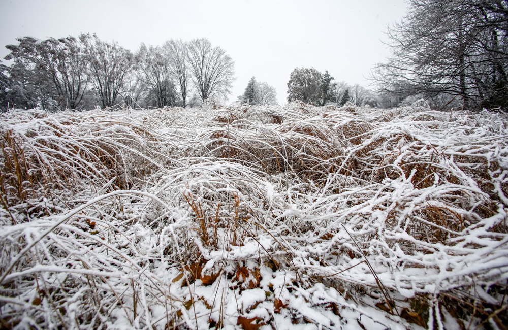 Lehigh Valley's first snowfall of the 2019-20 winter season ...