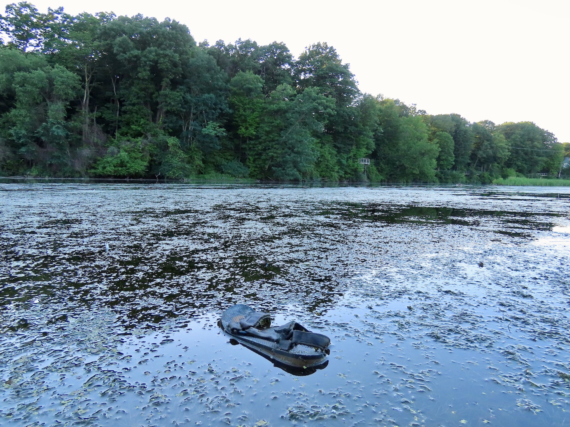 Rogue River PFAS contamination - mlive.com