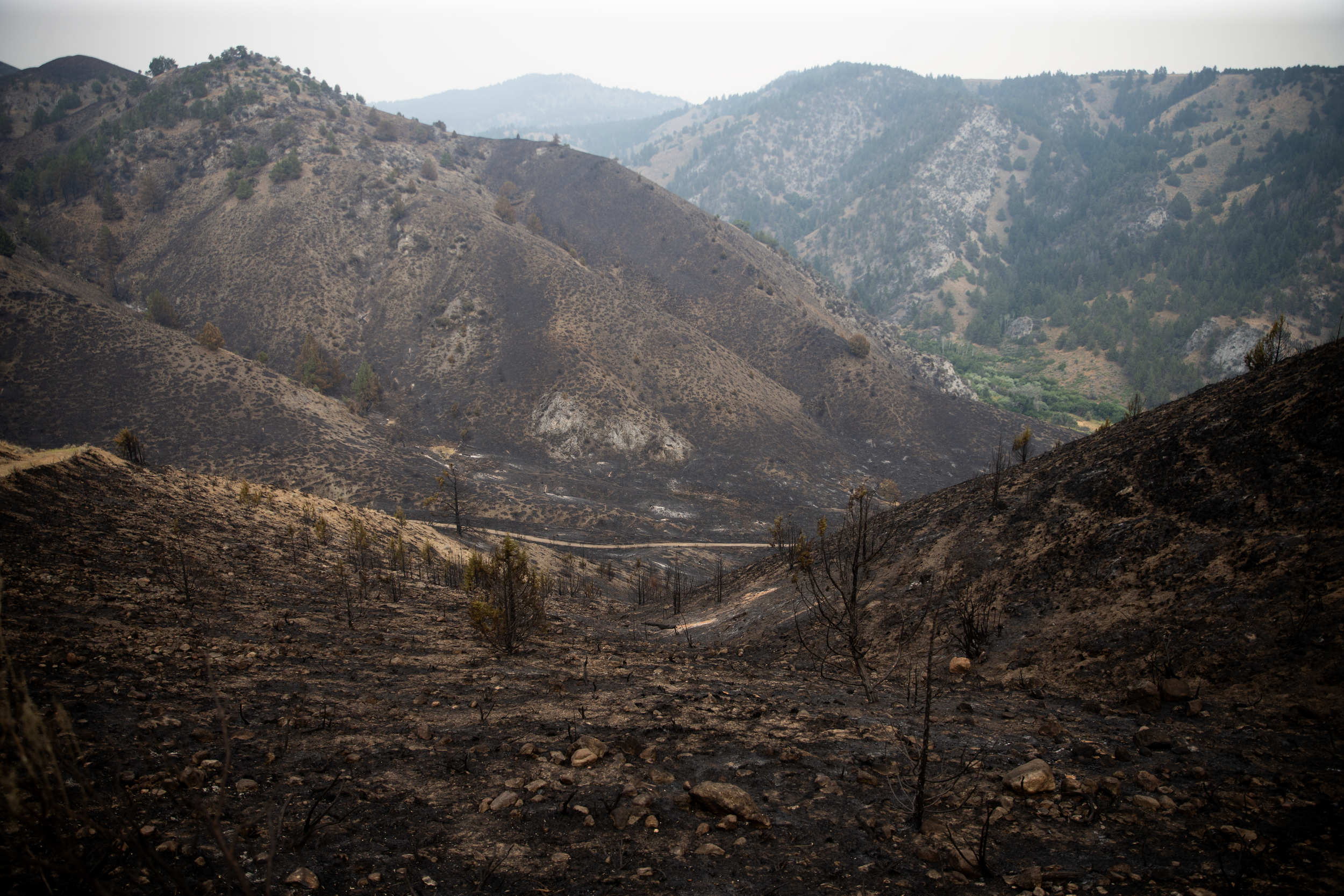 Thompson fire fought by volunteers and professionals - oregonlive.com