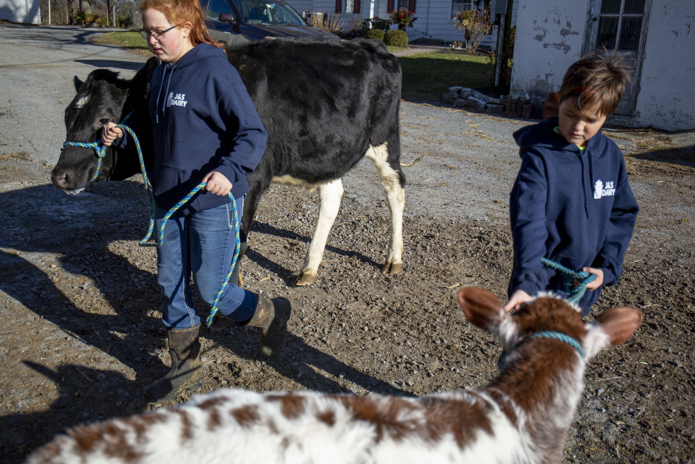 Cumberland County 4-H kids miss the 2021 Farm Show - pennlive.com
