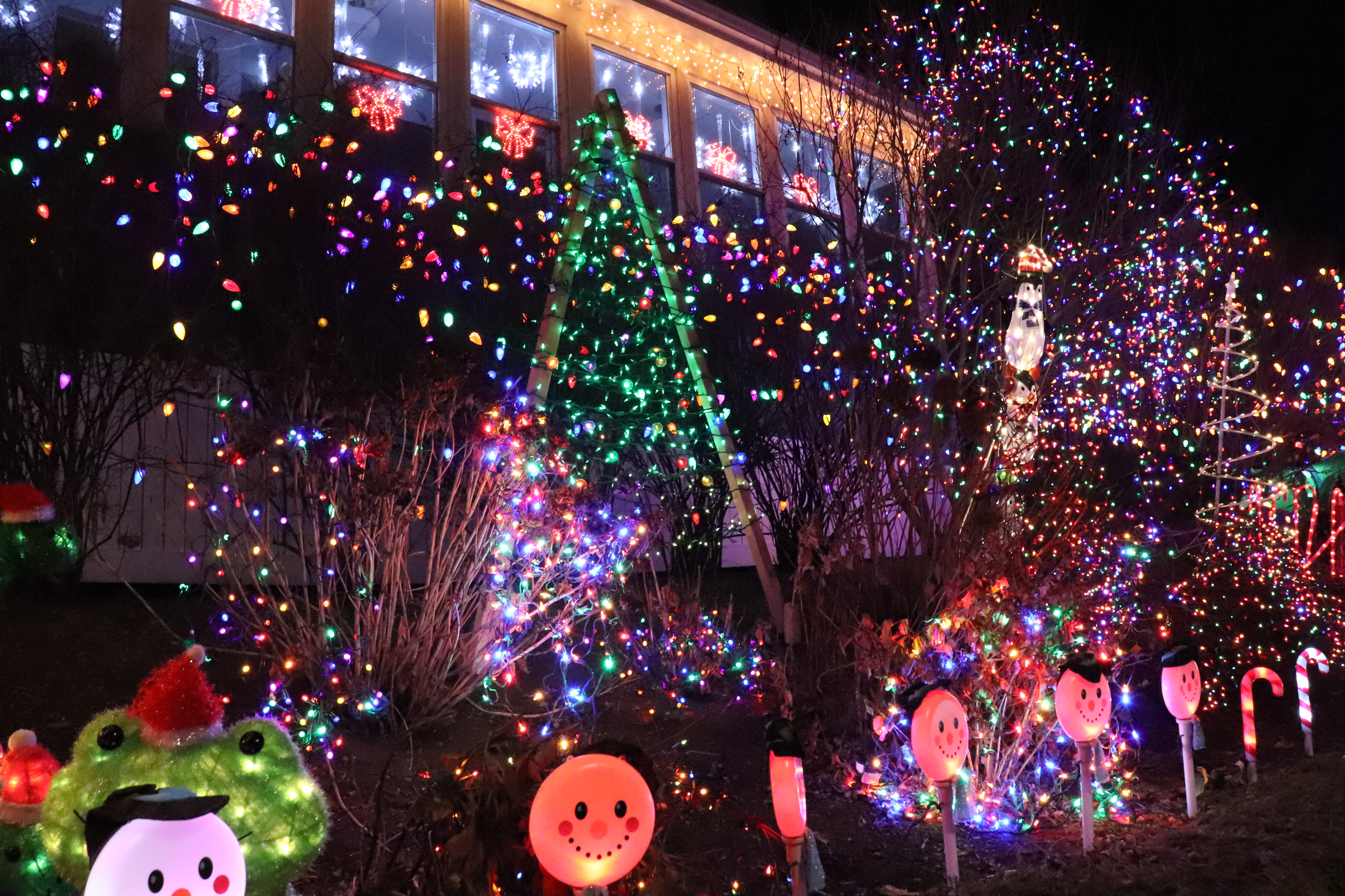Somerville Illuminations holiday light displays - masslive.com