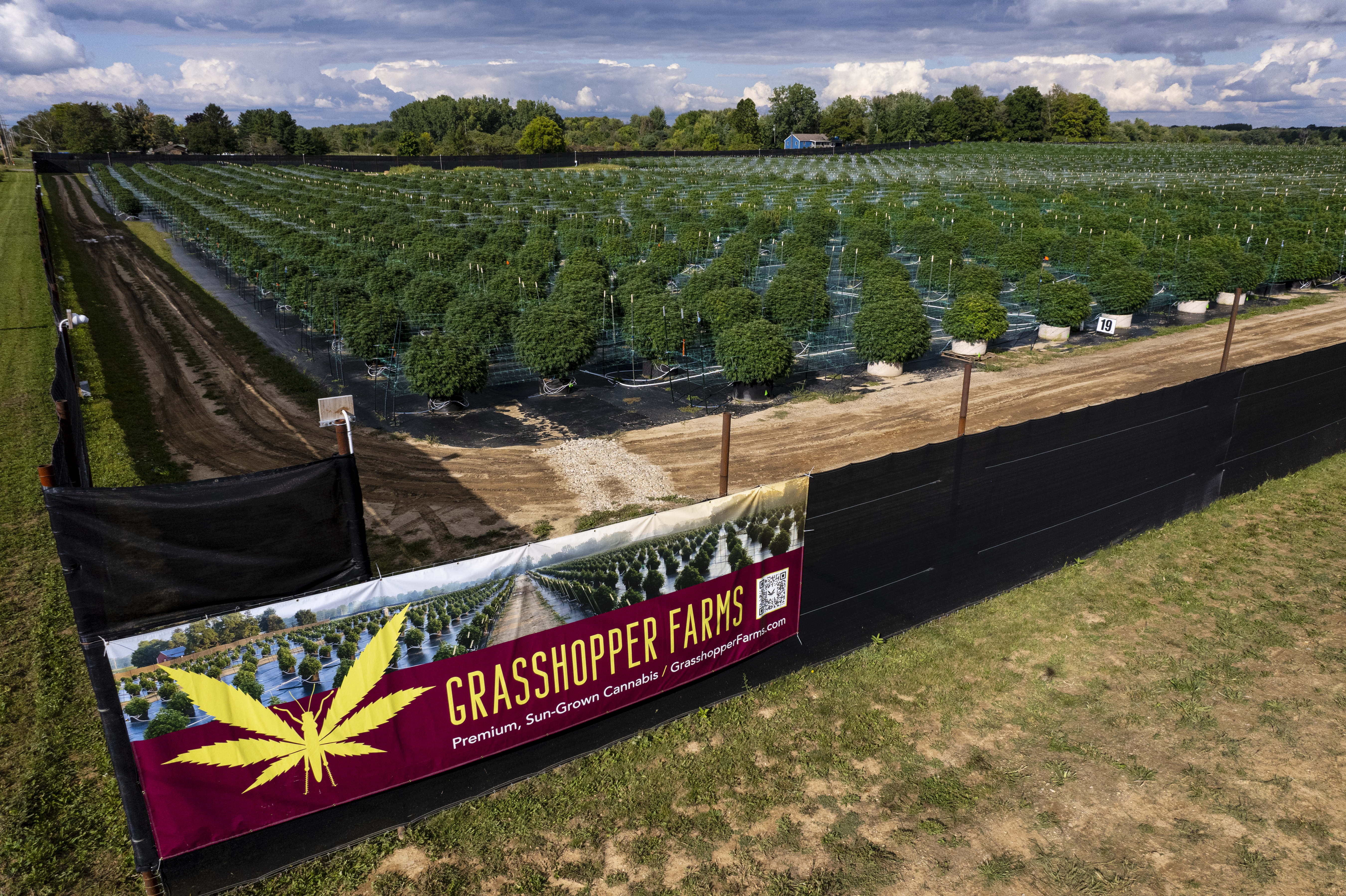 Grasshopper Farms outdoor cannabis grow in Van Buren County - mlive.com