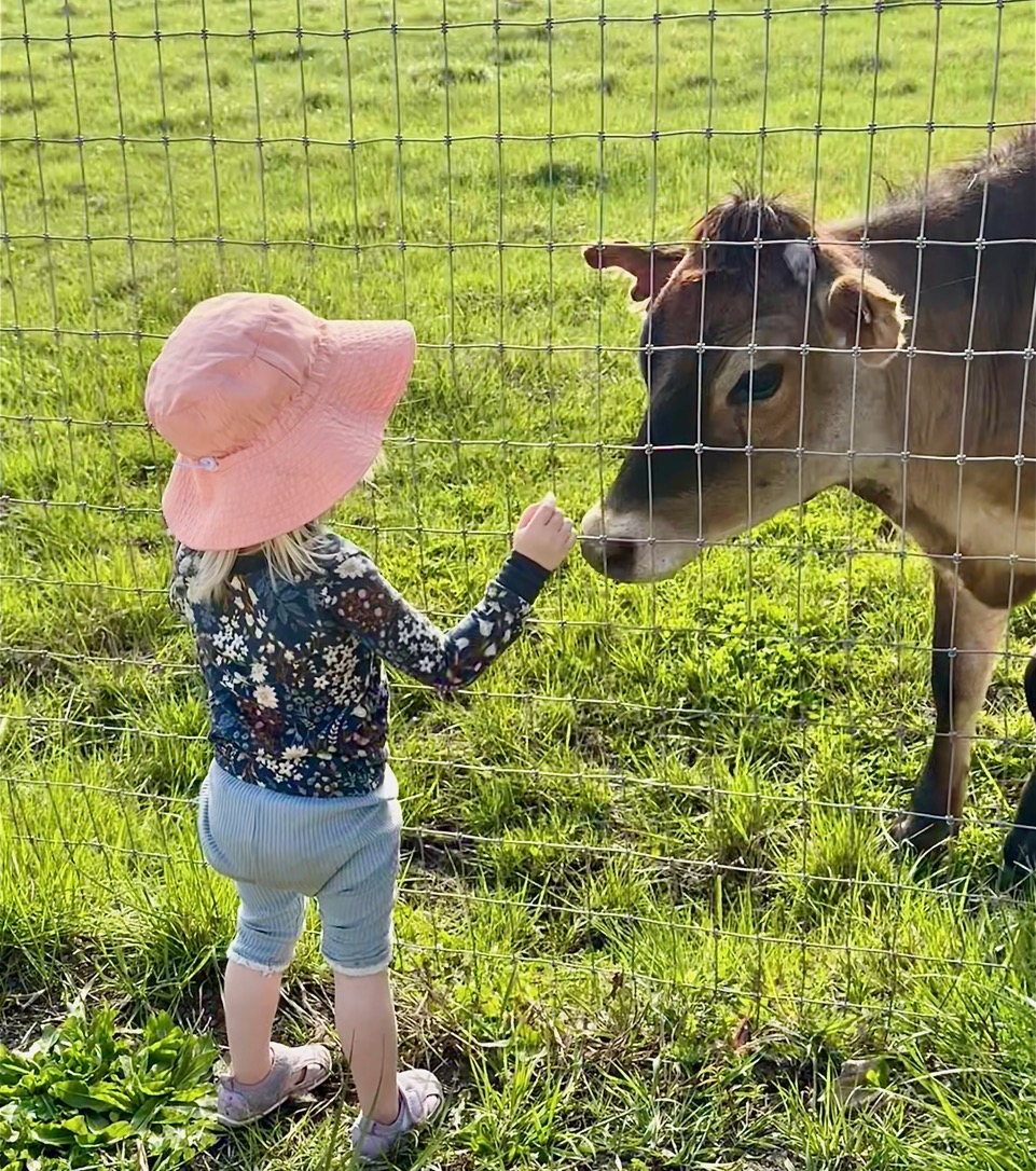 Tikkun Olam Farm Sanctuary - oregonlive.com