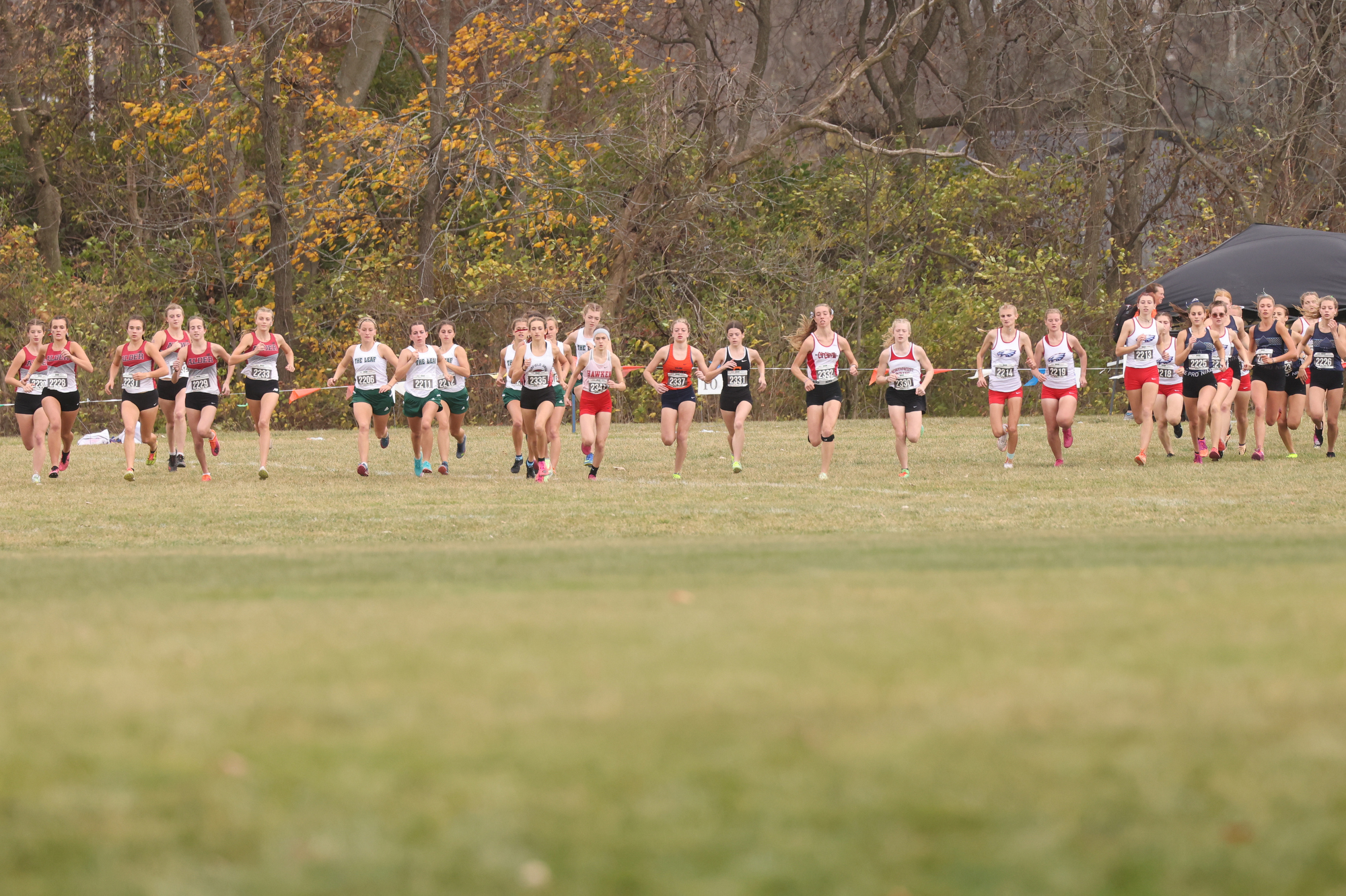 Division II Ohio High School Cross Country Championships 2022 ...