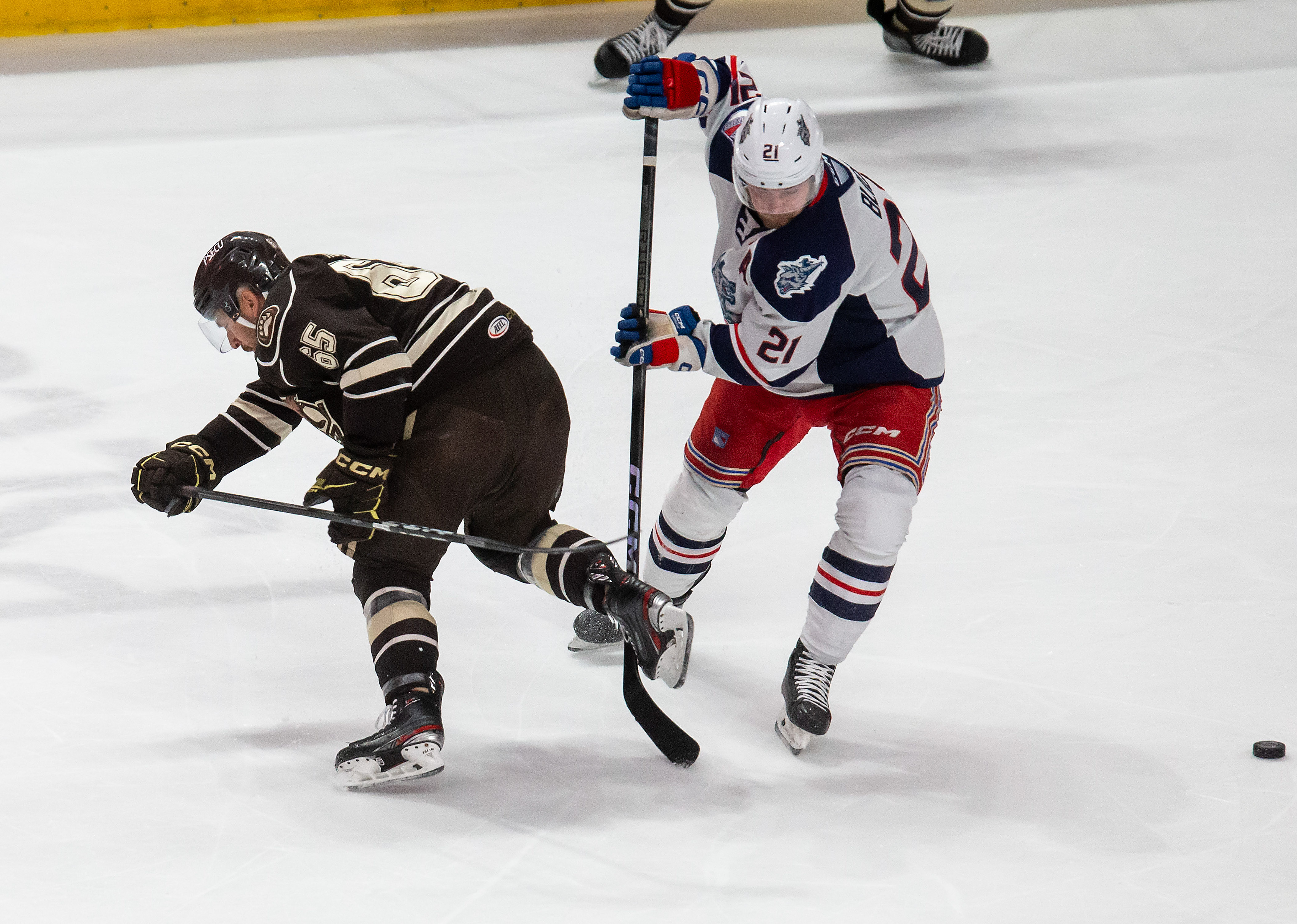 Hershey Bears vs Hartford Wolf Pack in game 1 of Atlantic Division ...