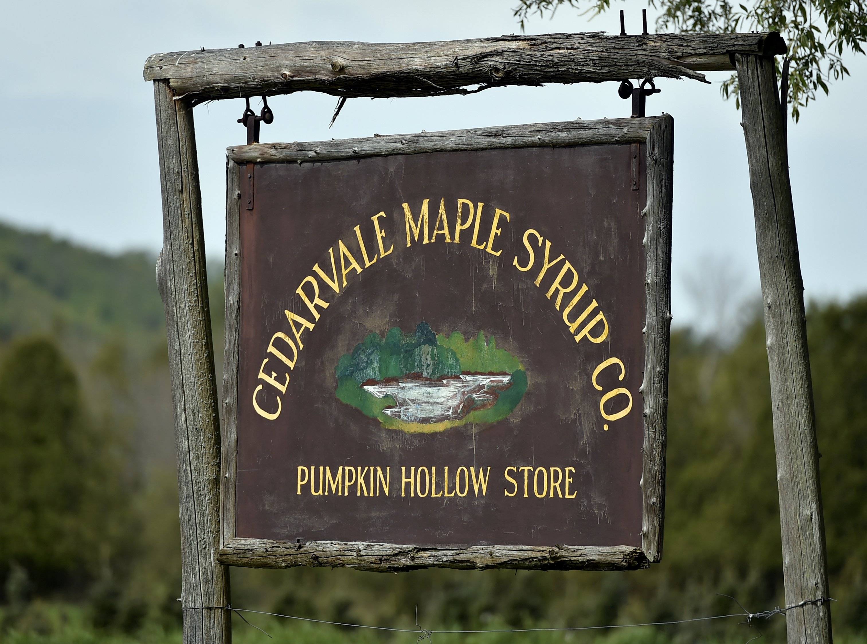 Cedarvale Closing - syracuse.com