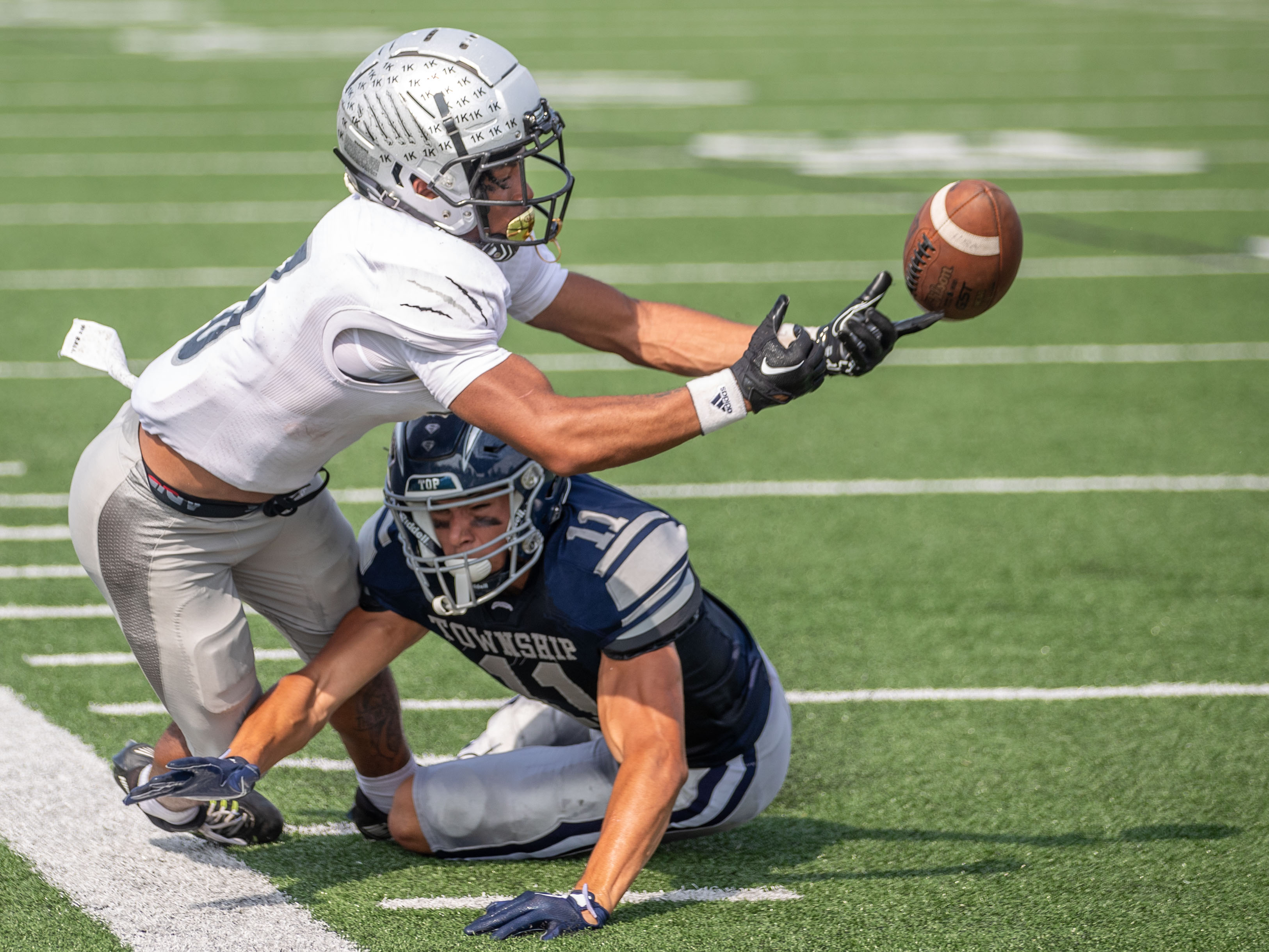 Manheim Township defeats Harrisburg 38-6 - pennlive.com