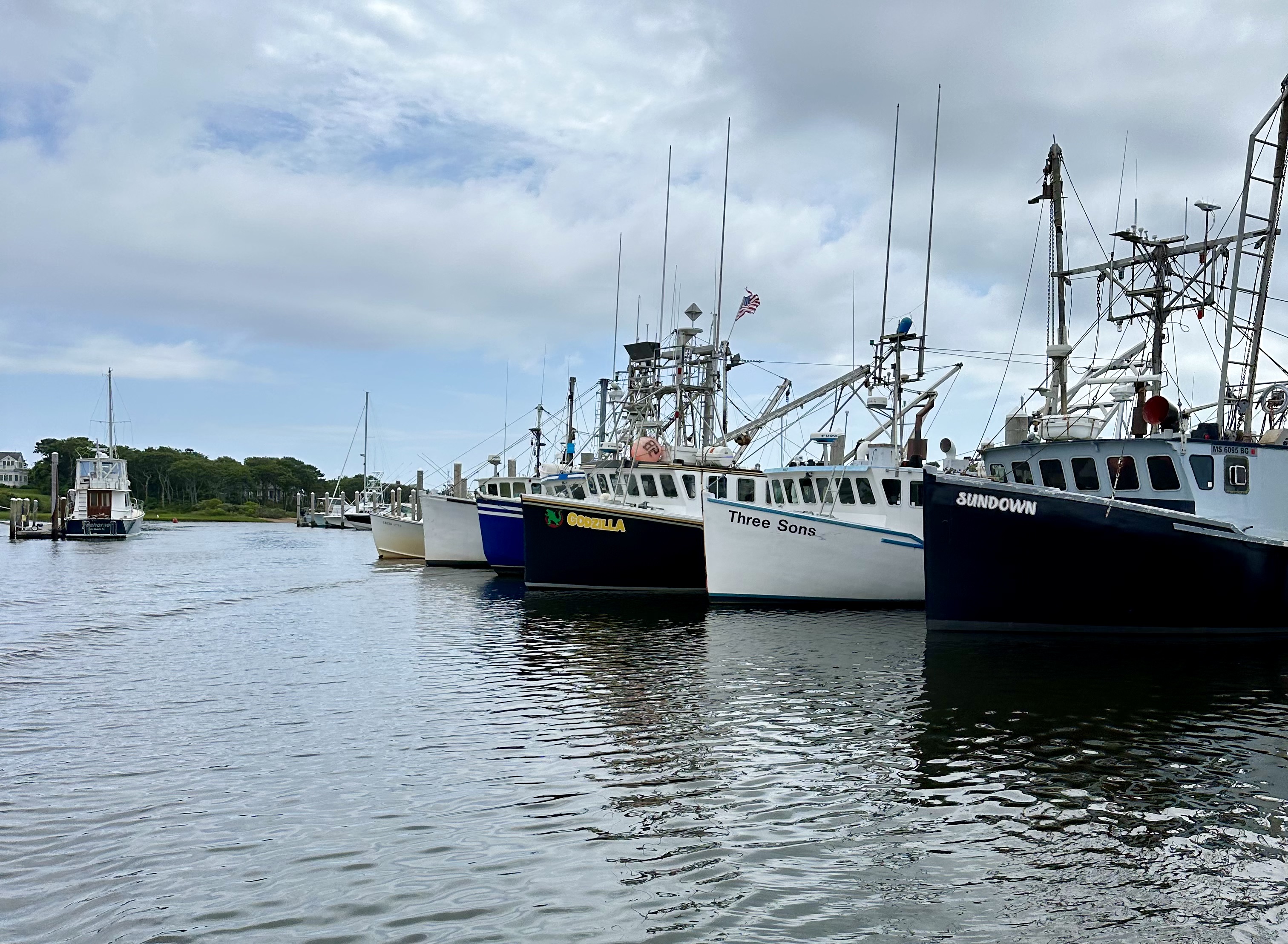Shark fishing in Cape Cod with Magellan deep sea fishing charters ...