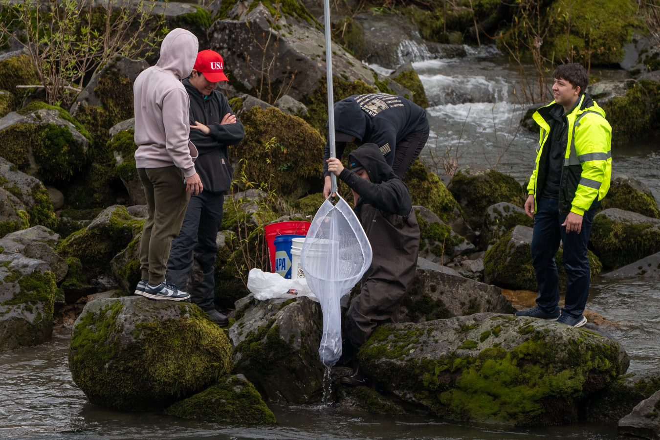 Sandy River smelt run 2025 - oregonlive.com