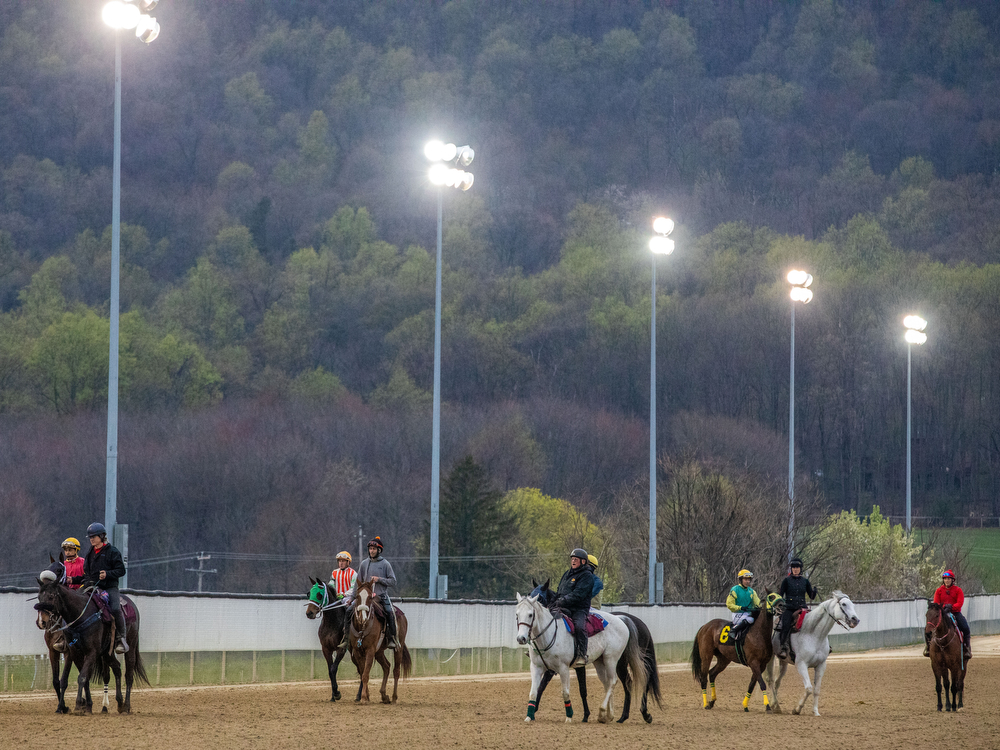 Pennsylvania has a new plan to protect race horses - pennlive.com