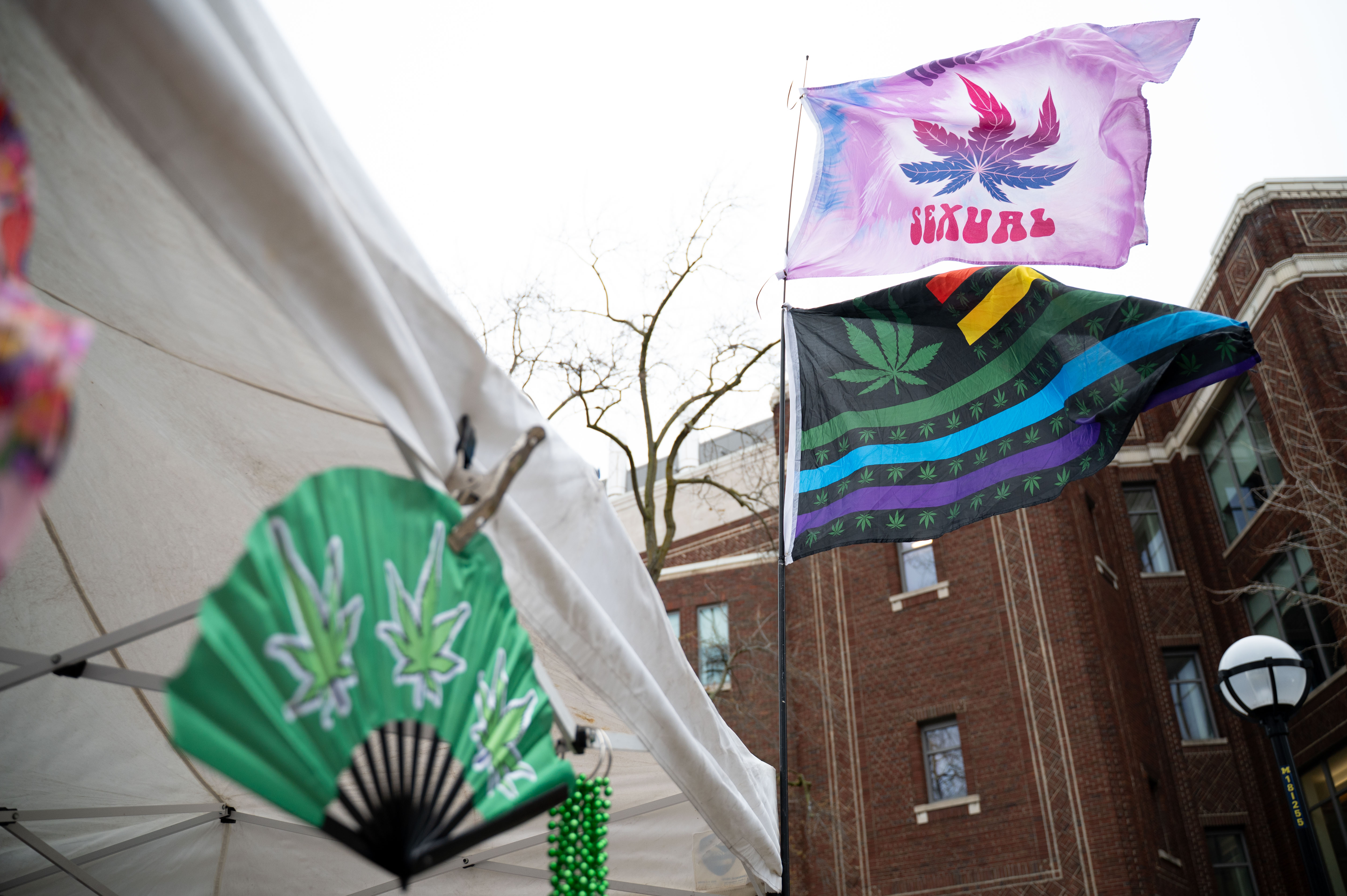 2025 Hash Bash - mlive.com