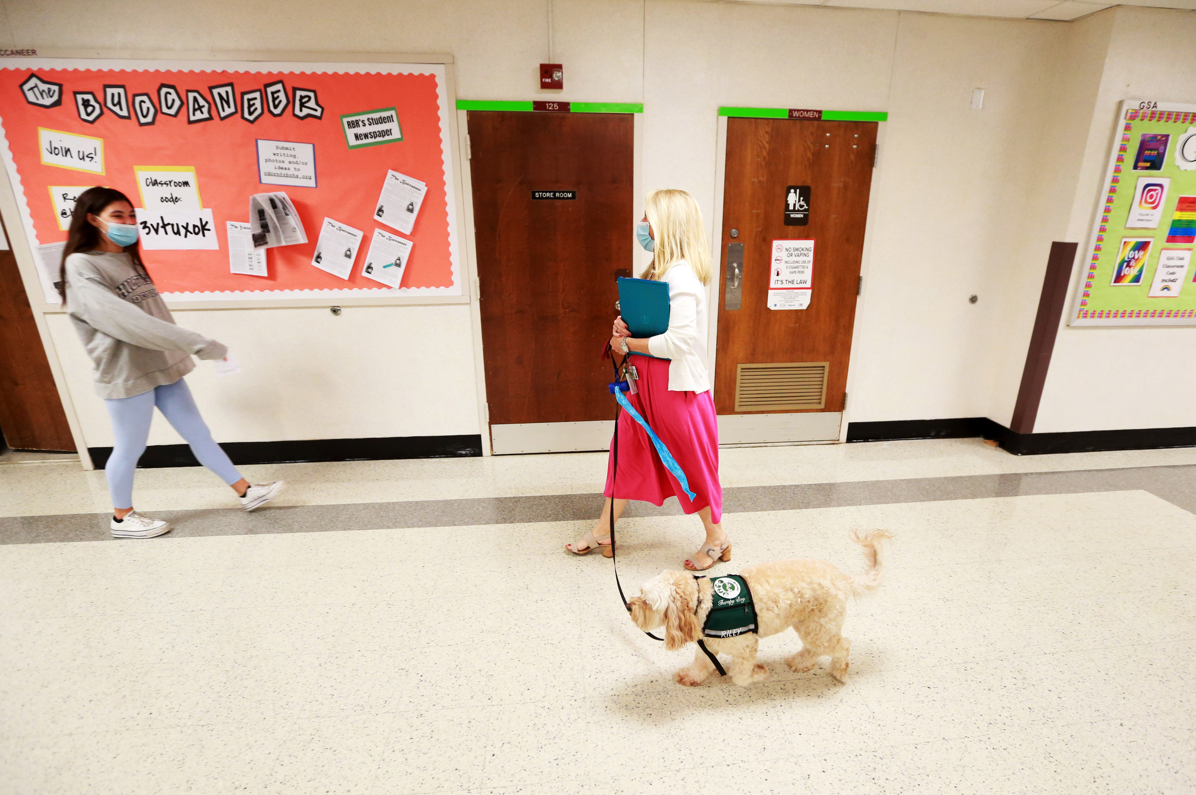 High school therapy dog a real comfort - nj.com
