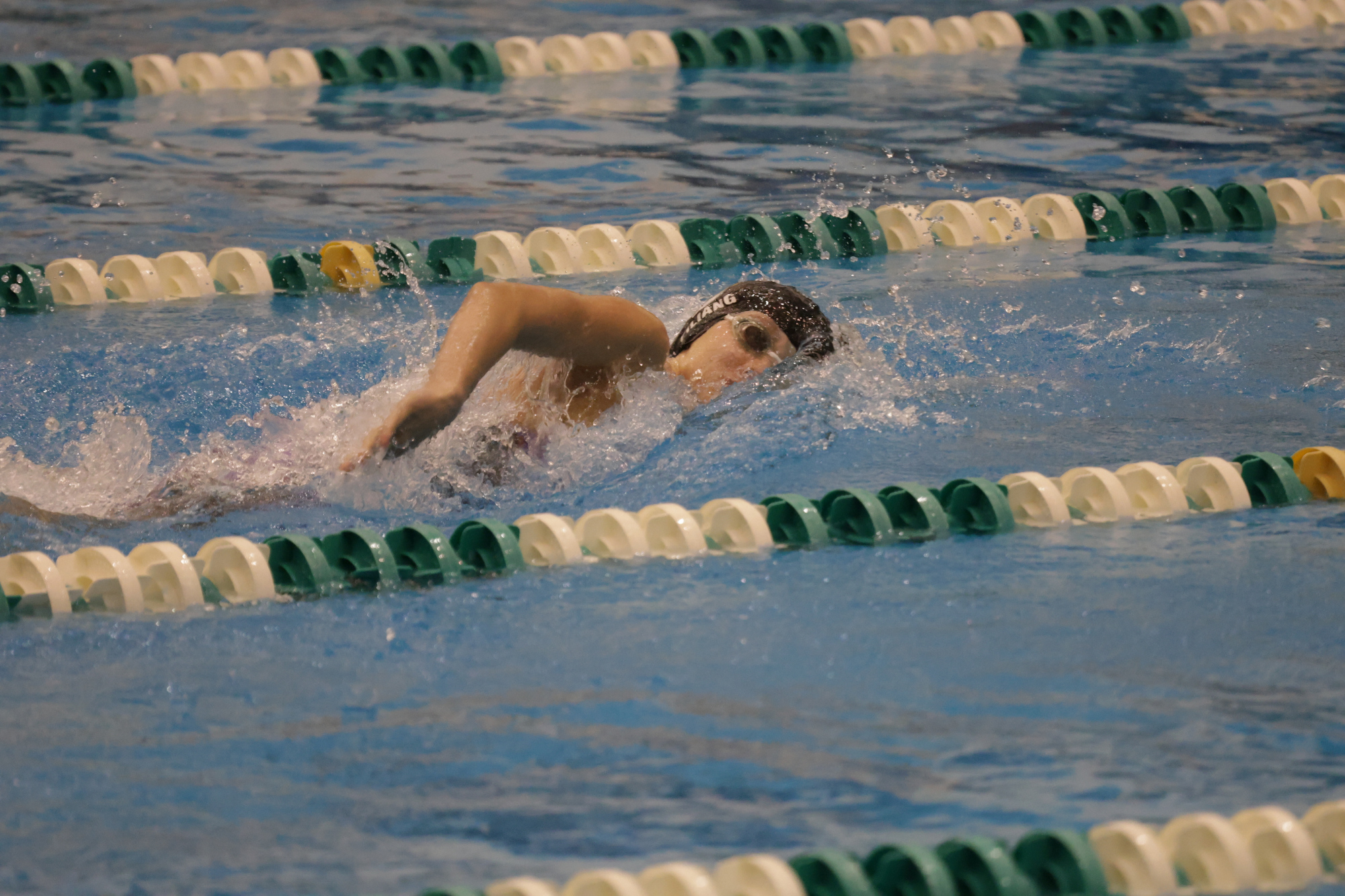 49th Viking Invitational Swim Meet at CSU - cleveland.com