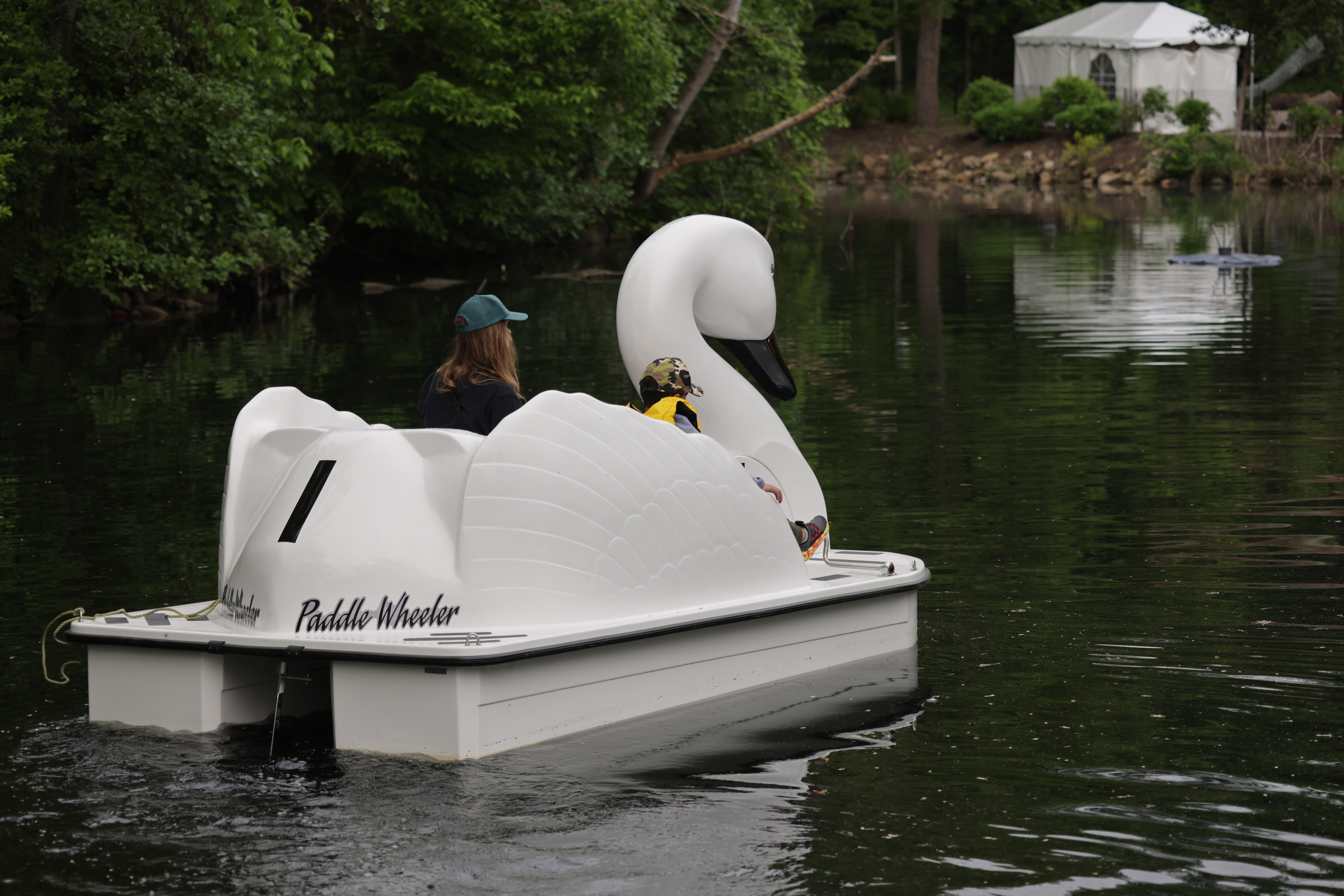 Swan Voyage opens at Cleveland Zoo - cleveland.com