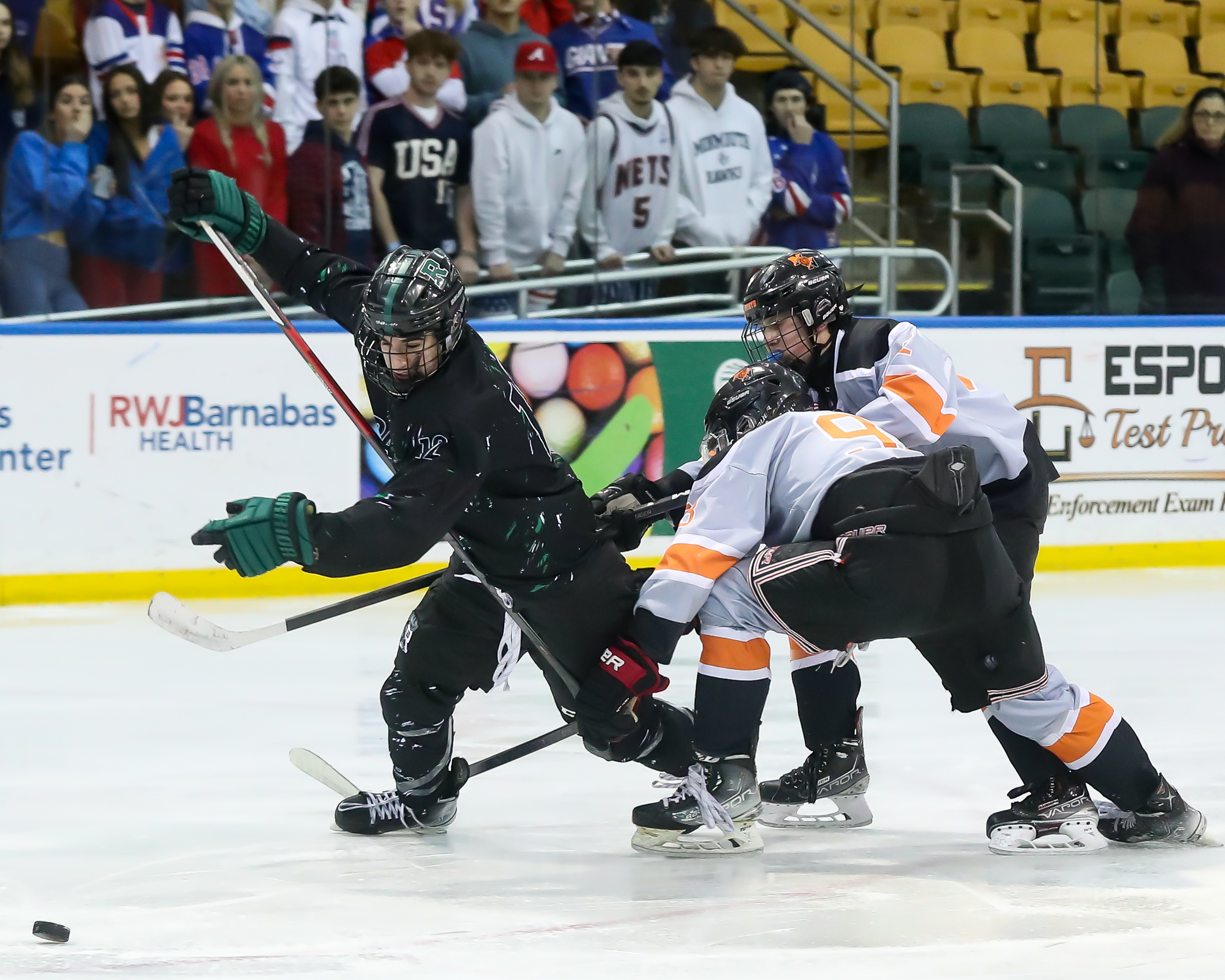 Ice Hockey: Middletown North vs Ramapo in NJSIAA Public B semi on March ...