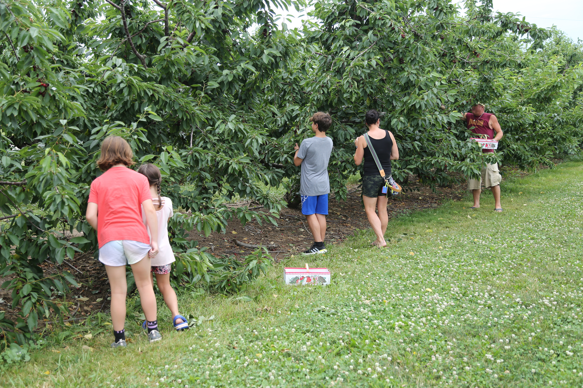 Quarry Hill Orchard in Berlin Heights - cleveland.com