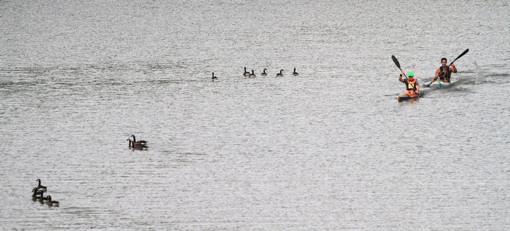 Blazing Paddles Paddlefest on the Cuyahoga River - cleveland.com