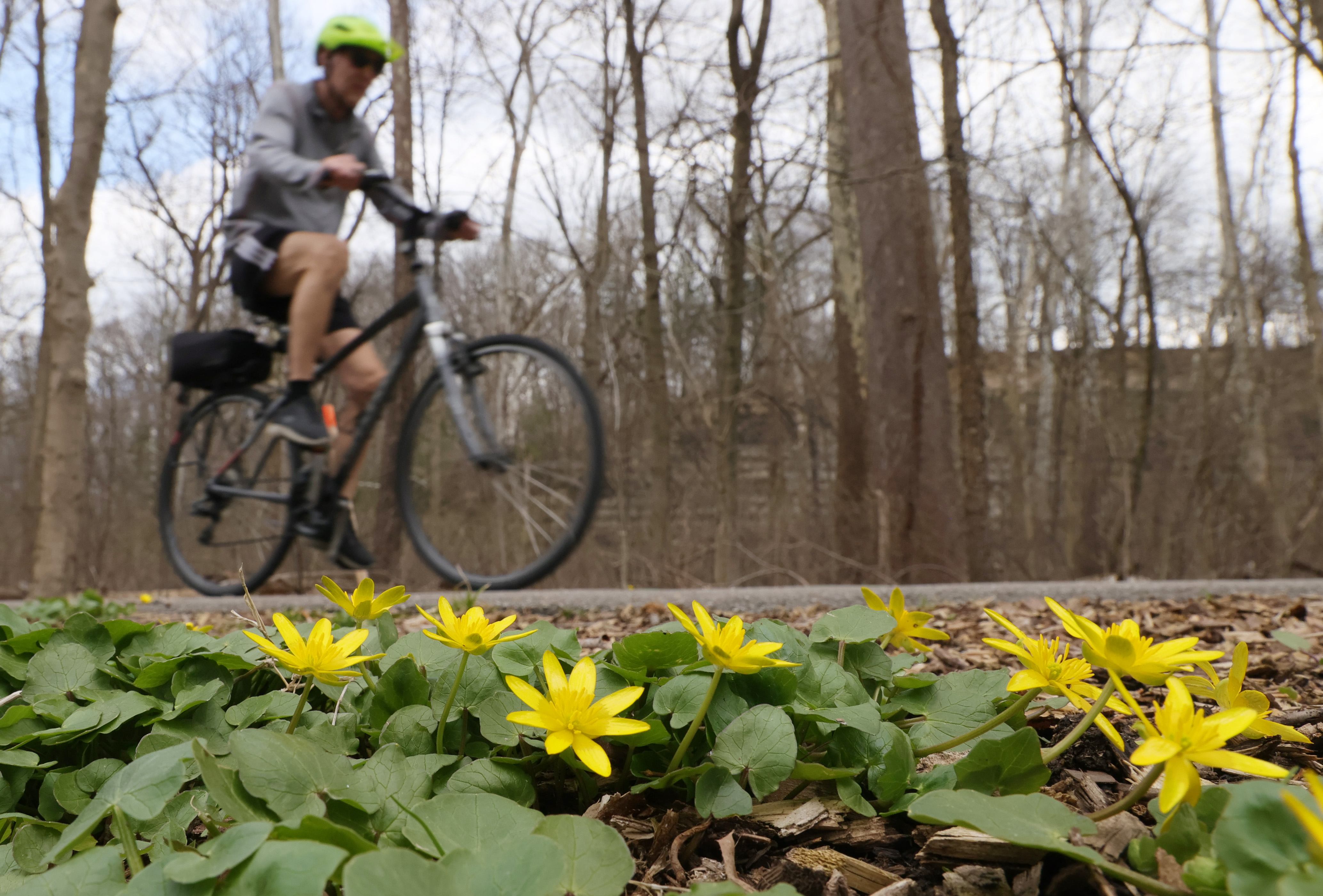 The beauty of Spring 2023 in Northeast Ohio - cleveland.com