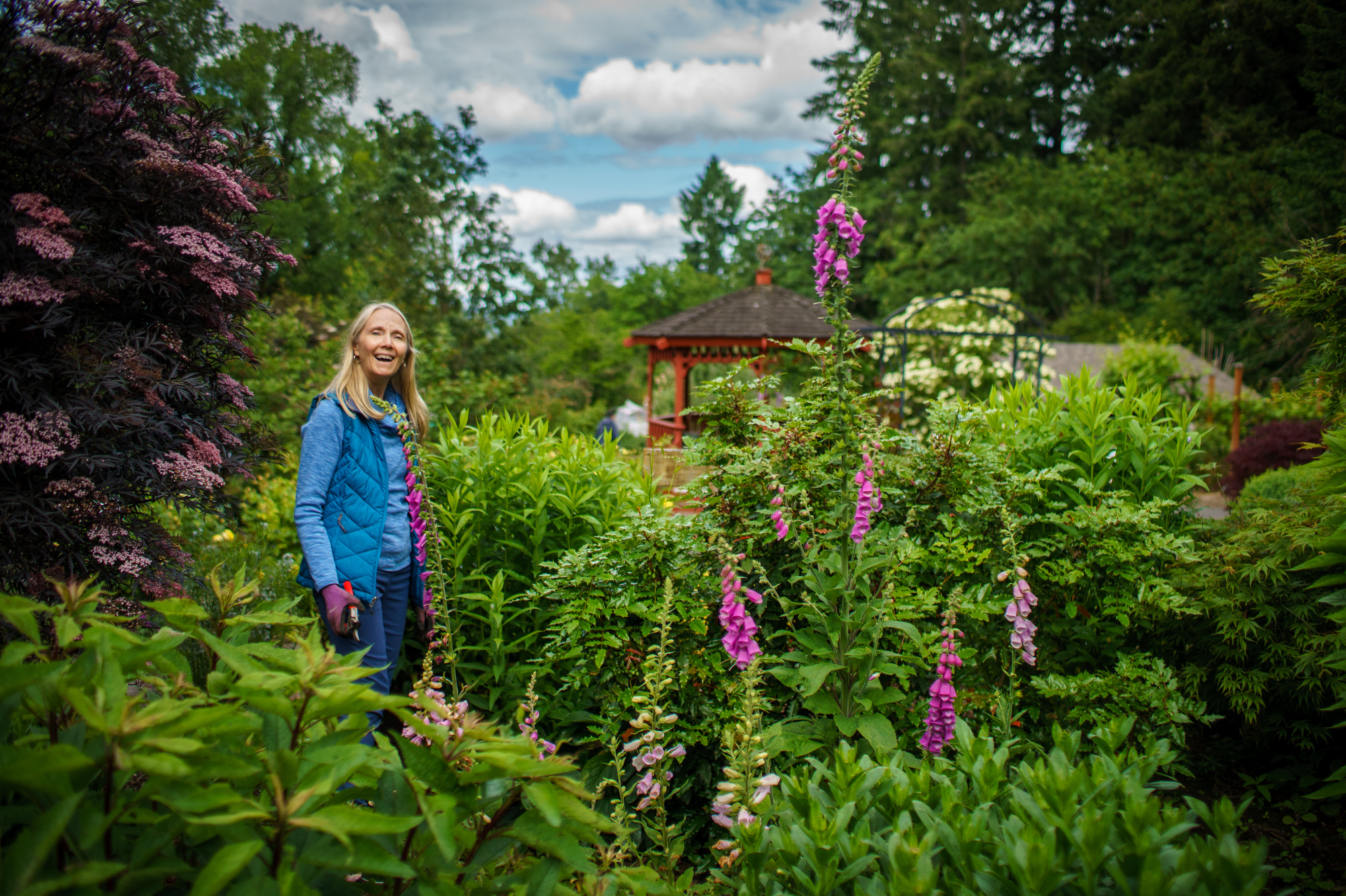 Washington County Master Gardeners Ok | Fasci Garden