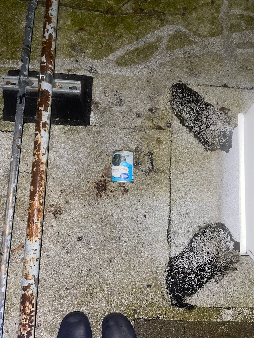 Thrown canned goods - oregonlive.com