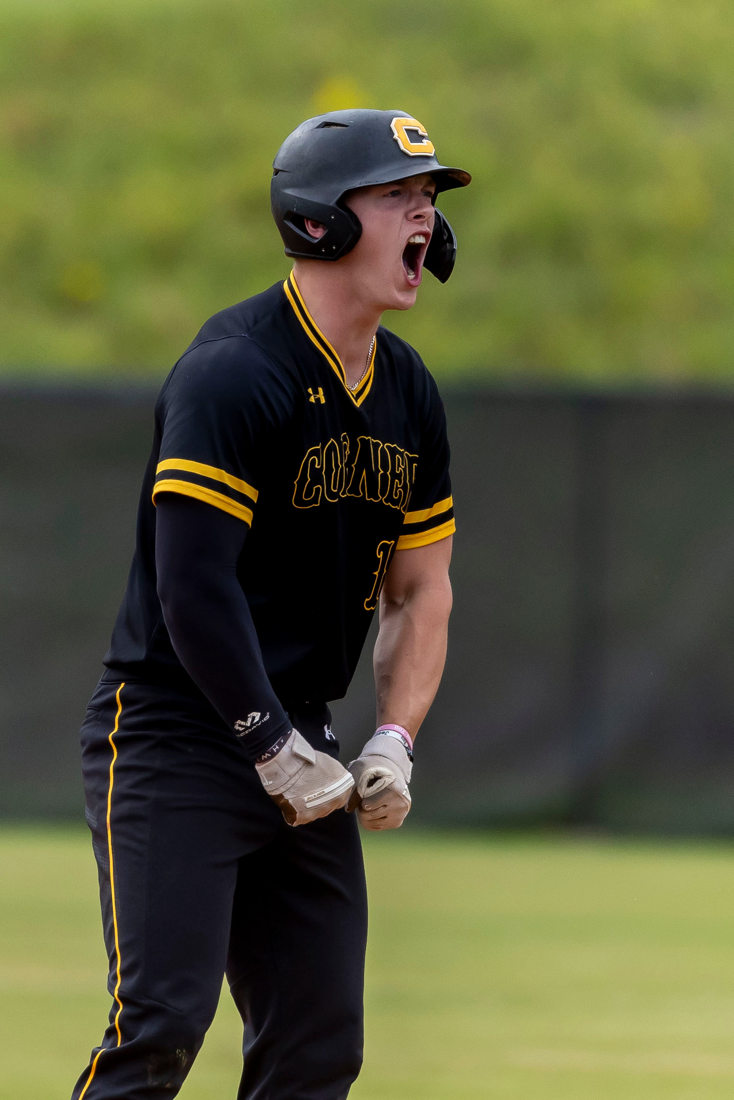 Etowah at Corner Baseball Playoff - al.com