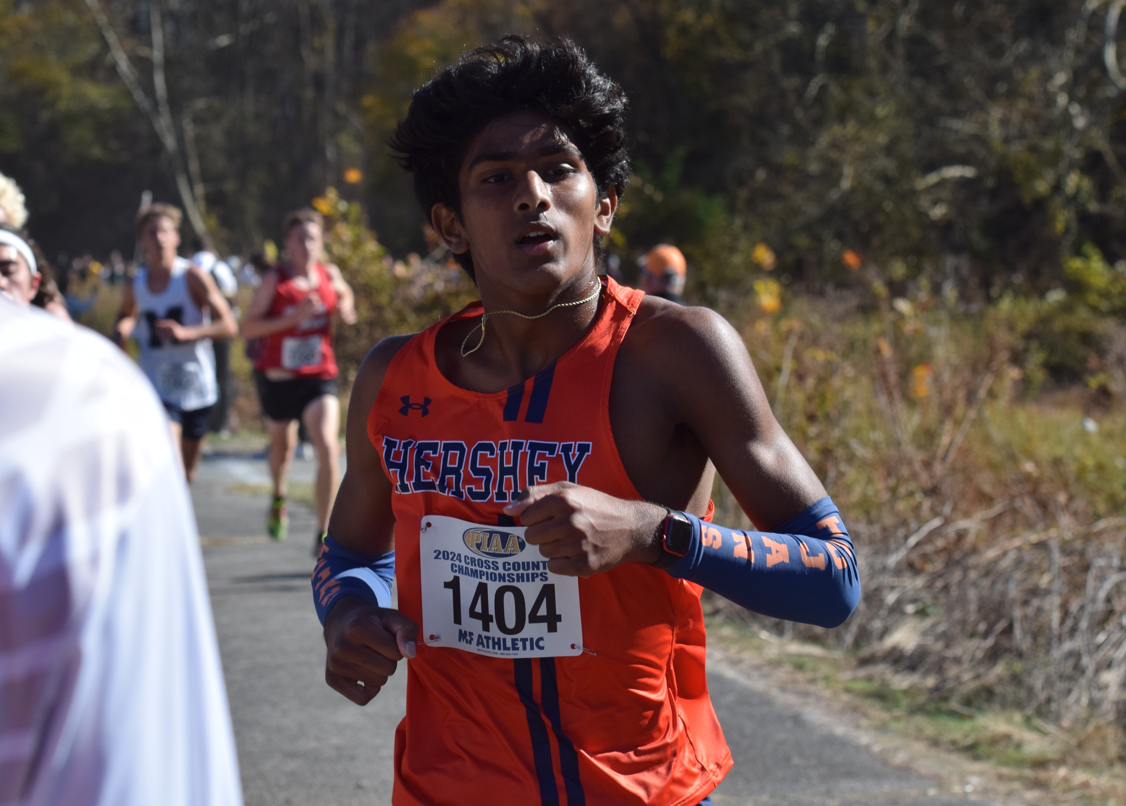 PIAA Cross Country Championships Nov. 2 2024 - pennlive.com