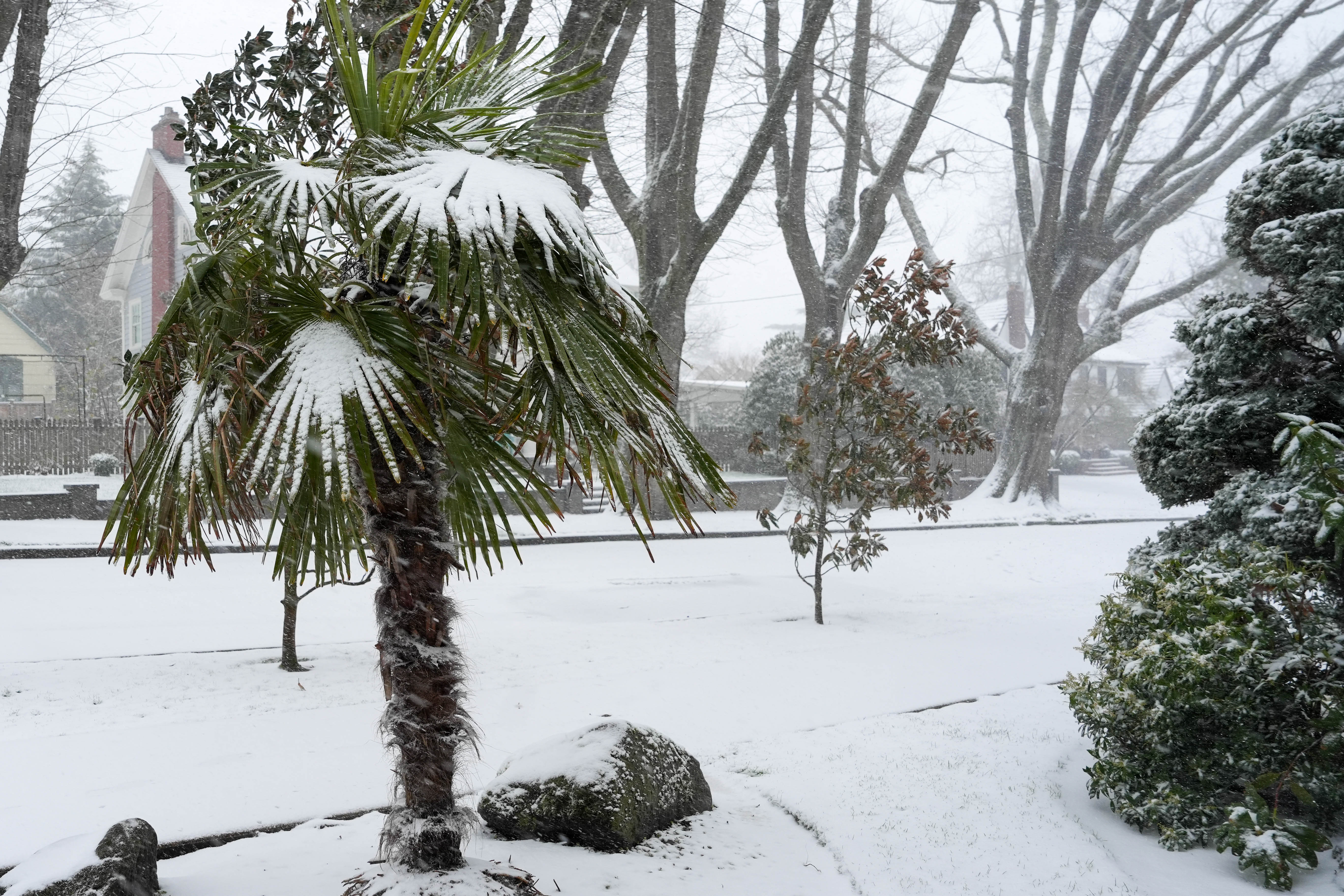 Portland snow - Feb. 22, 2023 - oregonlive.com